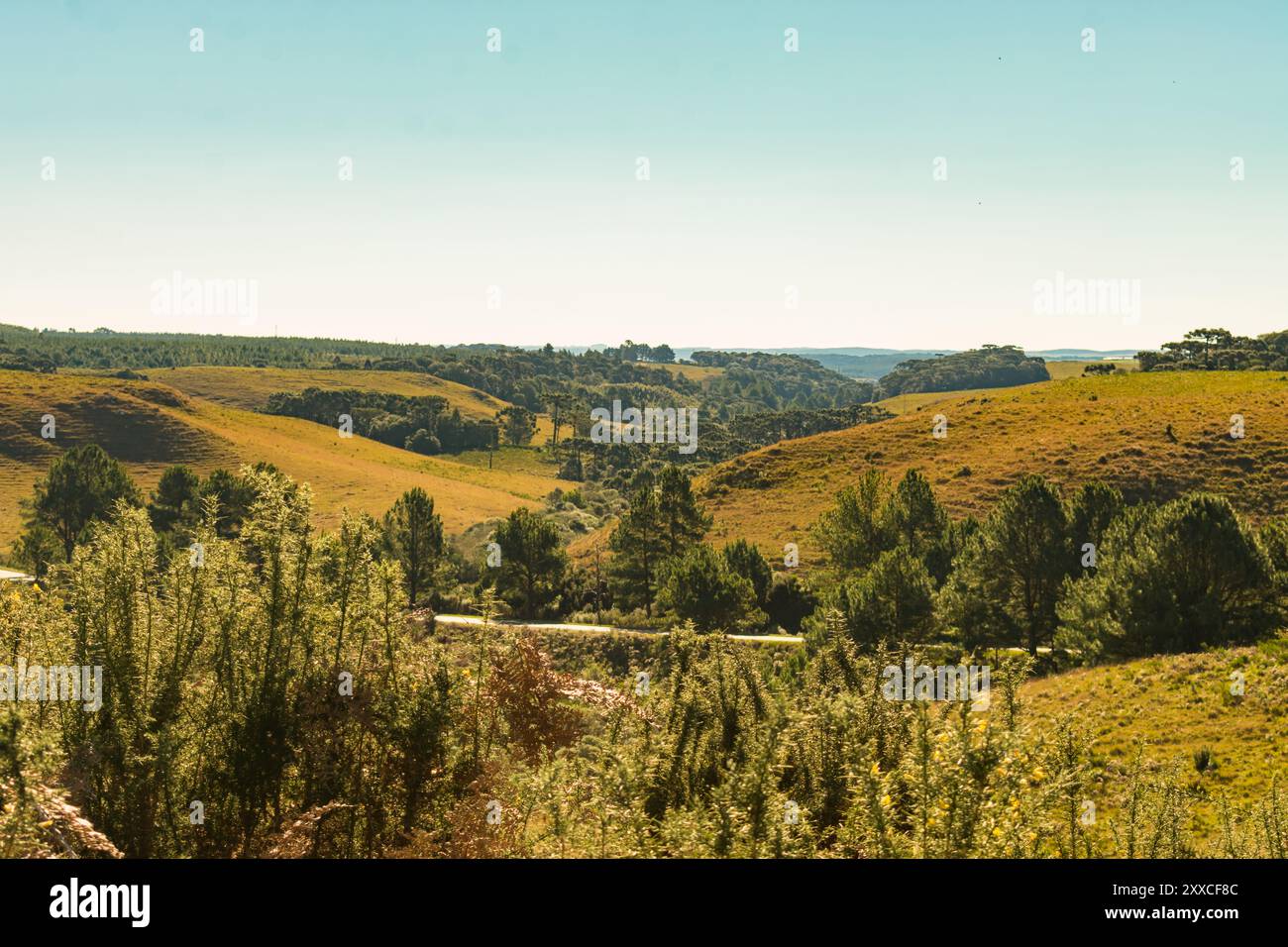 Campos de cima da Serra, Gaucho Highlands, Countryside of Sao Francisco ...