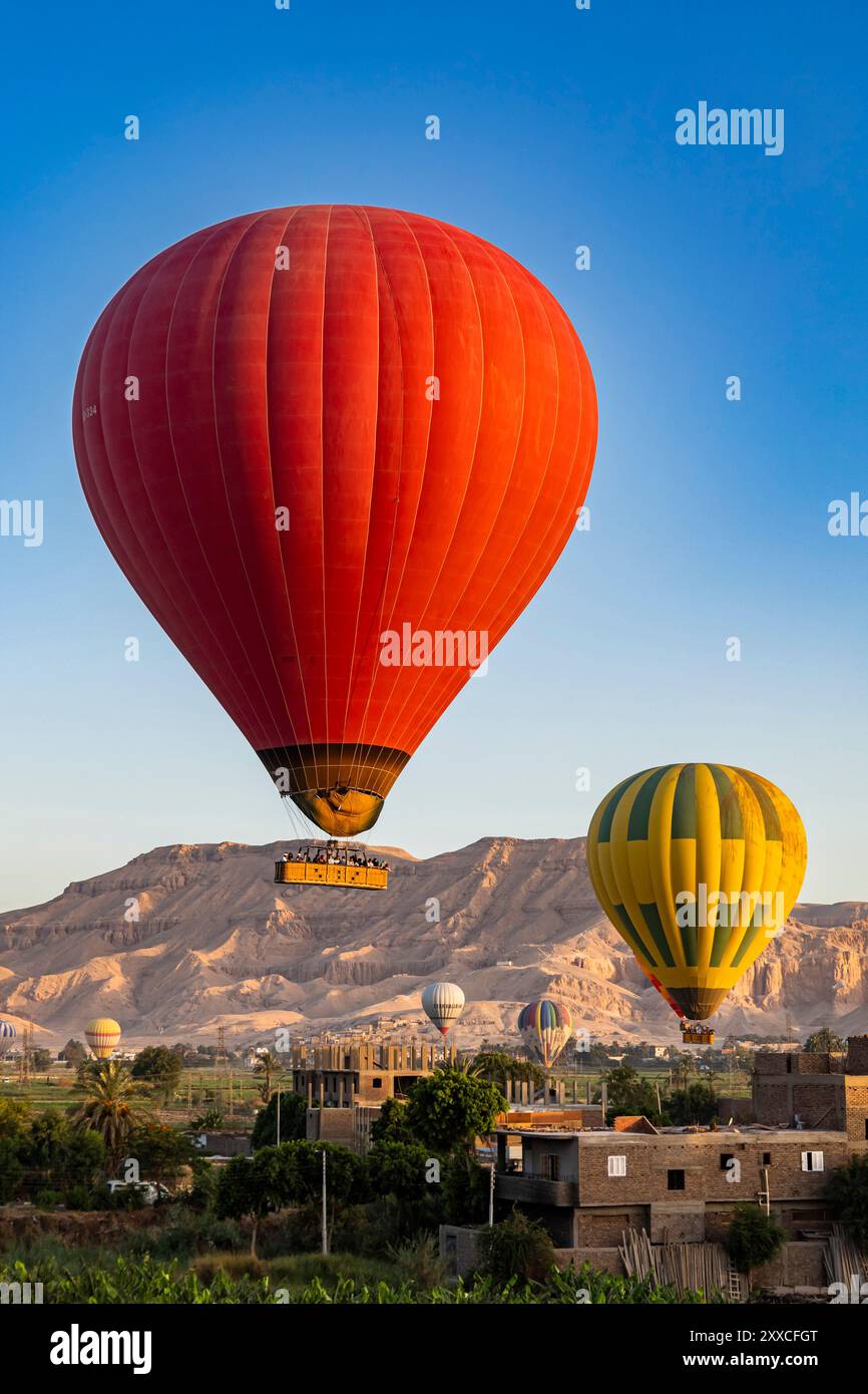 Balloons, Morning, Hot air balloon tour at west bank of Nile river ...