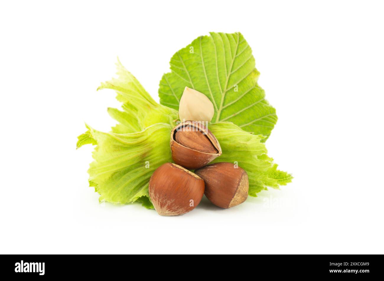 Pile hazelnuts isolated on hi-res stock photography and images - Alamy
