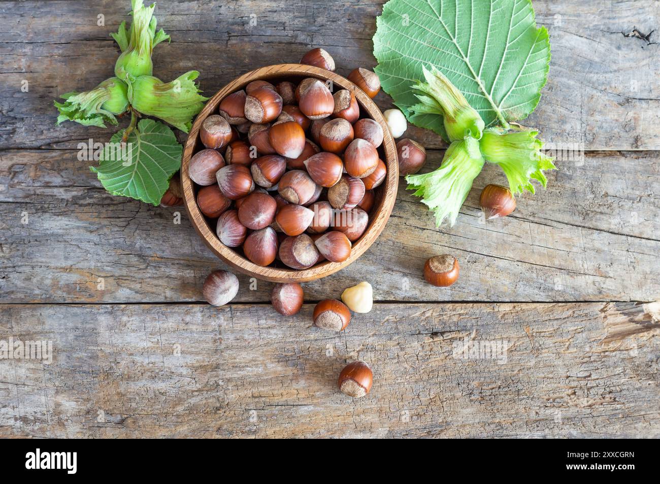 Hazelnut in shell hi-res stock photography and images - Alamy
