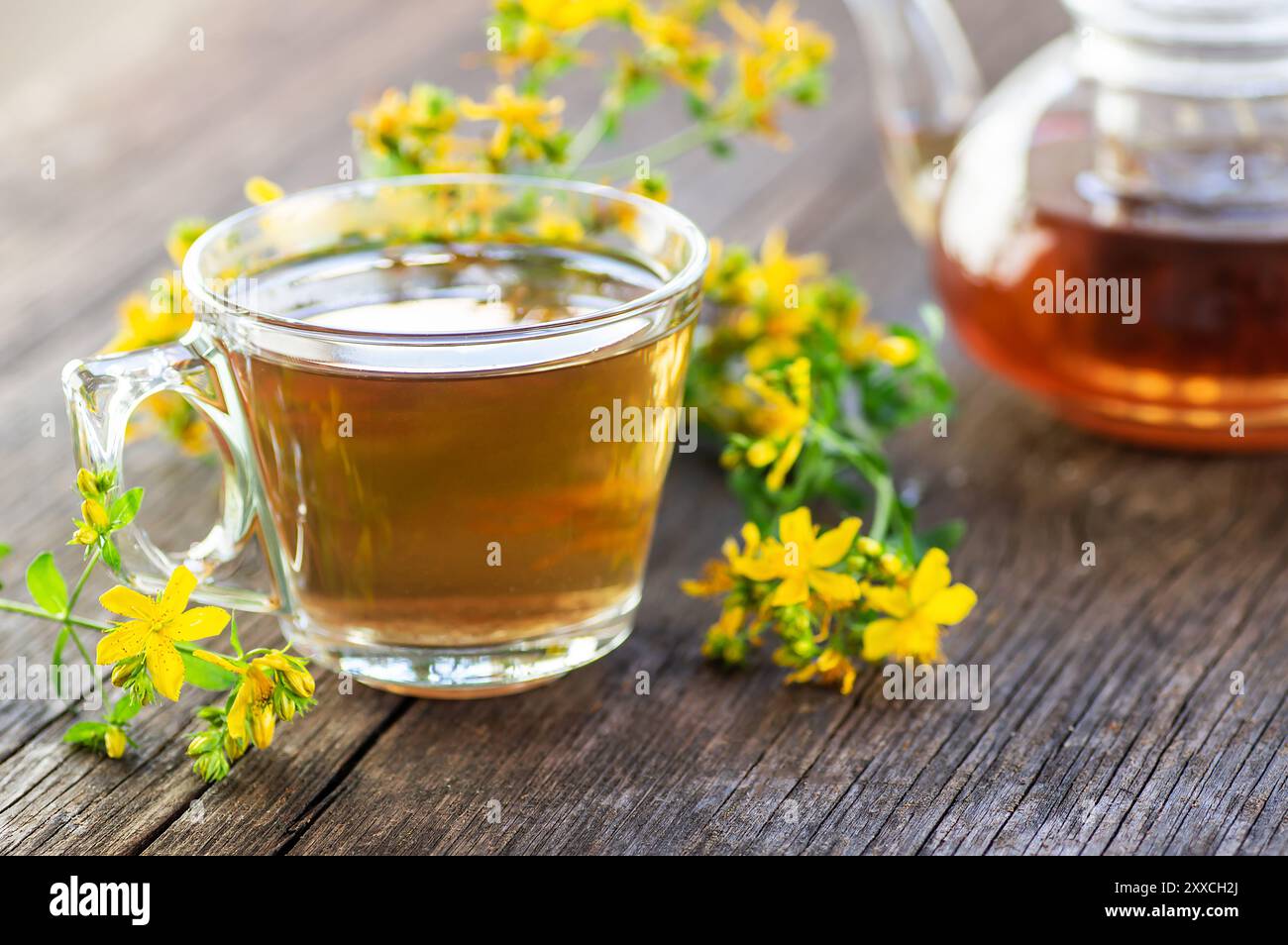 Glass cup of st john’s wort tea with flowers, herbal hot drink concept ...