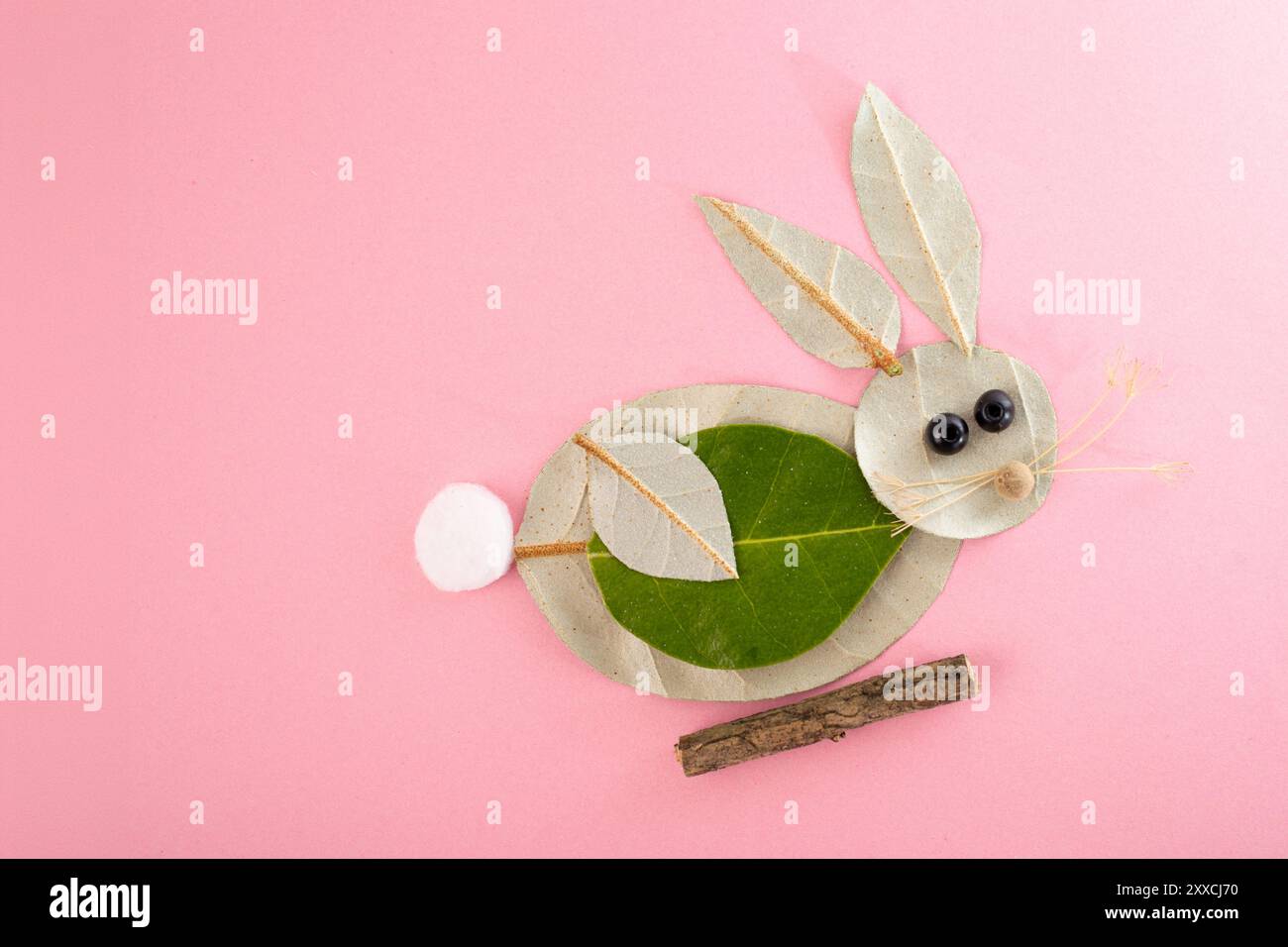 Craft Bunny Bodies
