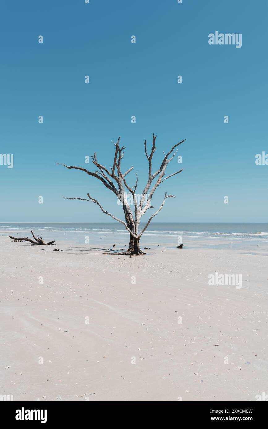 Botany Bay Boneyard Stock Photo - Alamy
