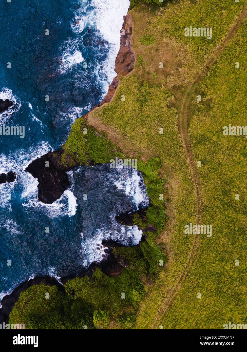Grassy Hawaiian Cliffs of Maui Stock Photo - Alamy