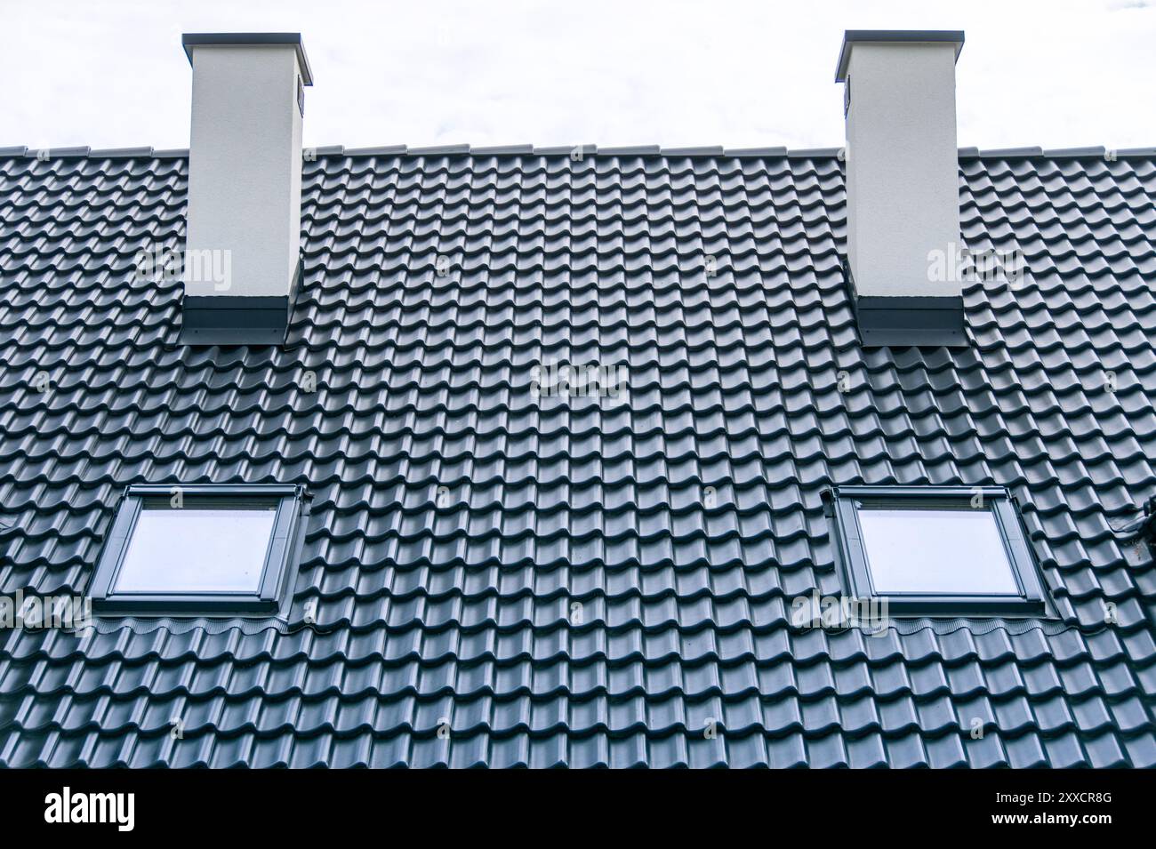 Symmetrical roof design accentuated by dark tiles and strategically ...