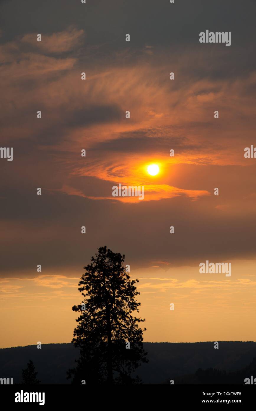 Forest fire creates dramatic skies over grass lands in the Blue ...