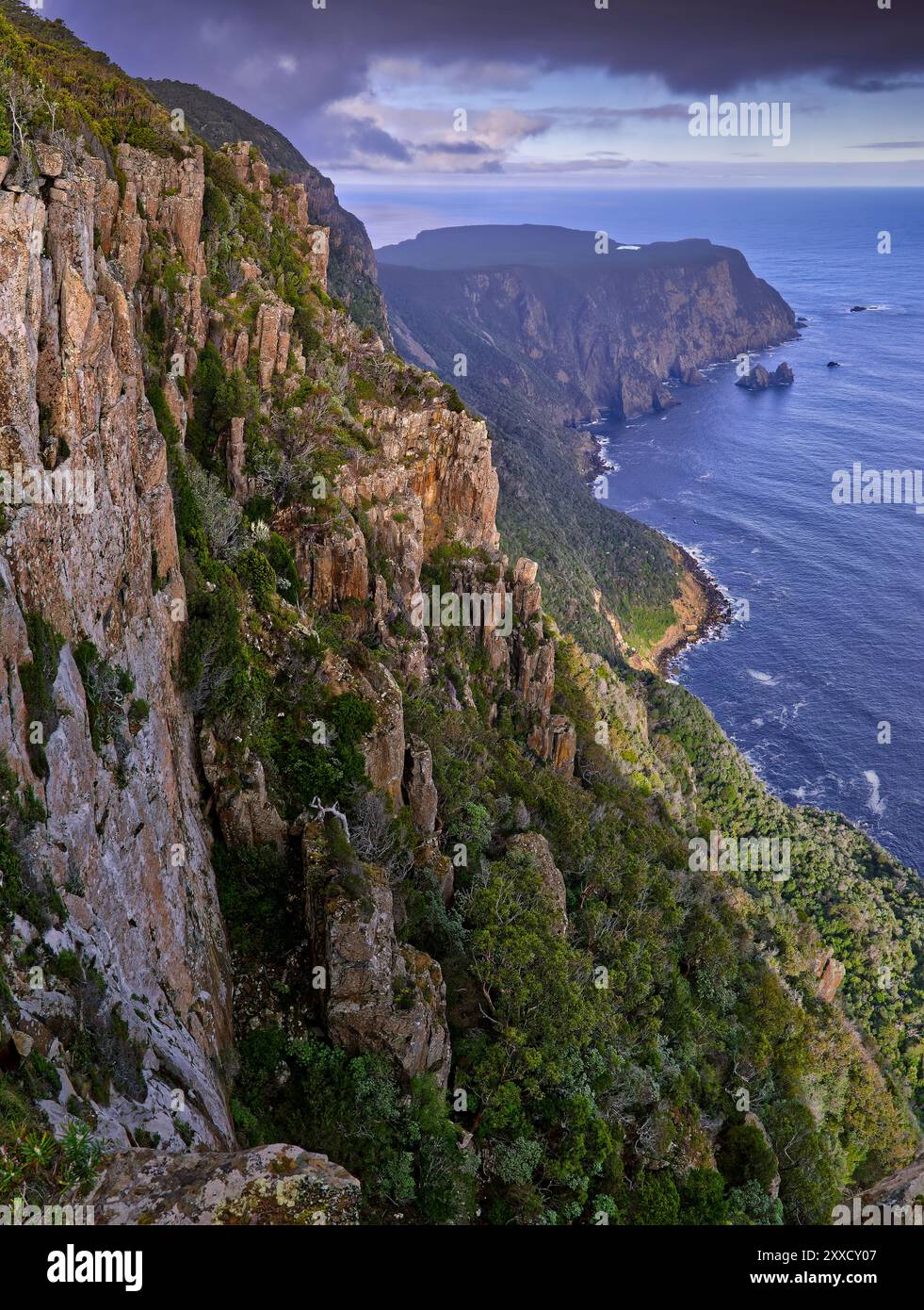 Portrait view of ocean and sunlit sea cliffs from viewpoint at Cape ...