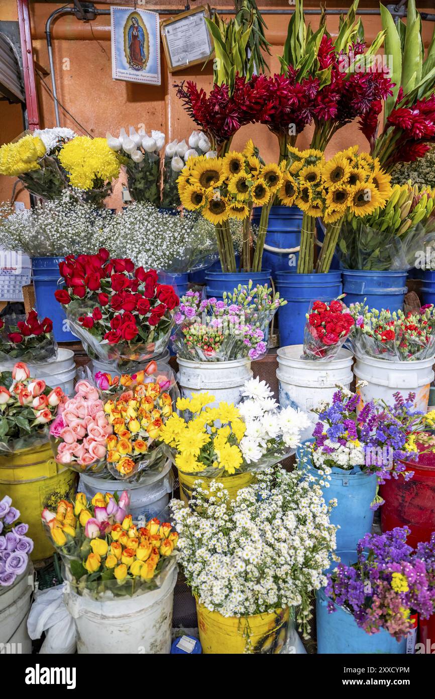 Market stallSales stall with cut flowers, Mercado Central de San Jose ...
