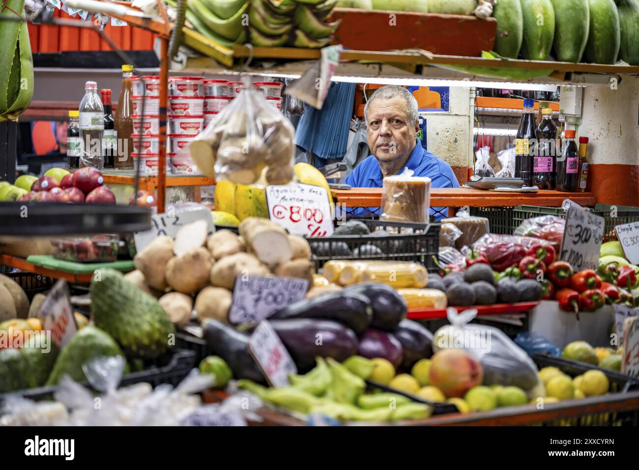 Vendor and display of fruit and vegetables at a market stall, Mercado Central de San Jose, San ...