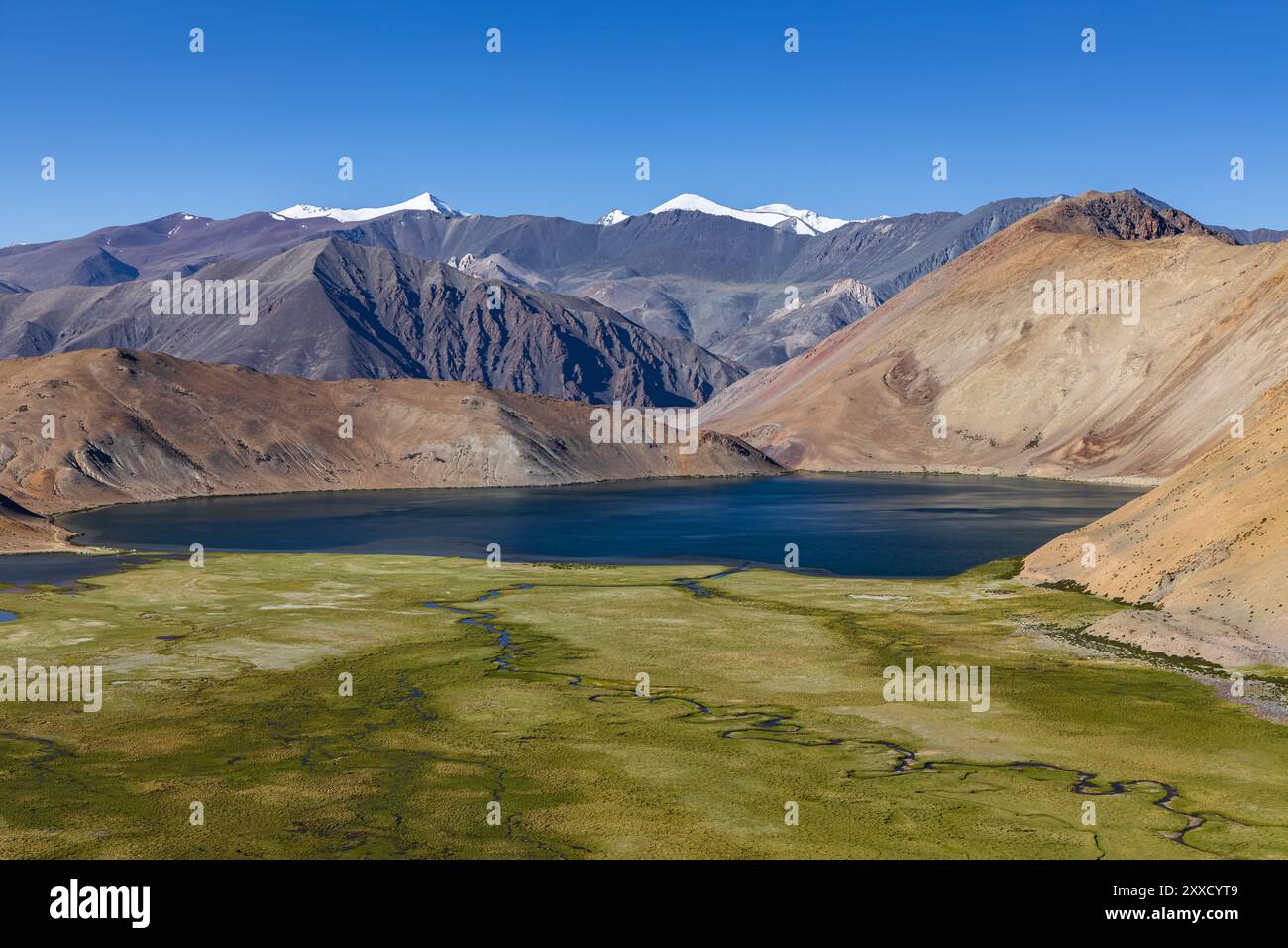 Yayatso, a high-altitude lake at Ladakh, India. A new biodiversity ...