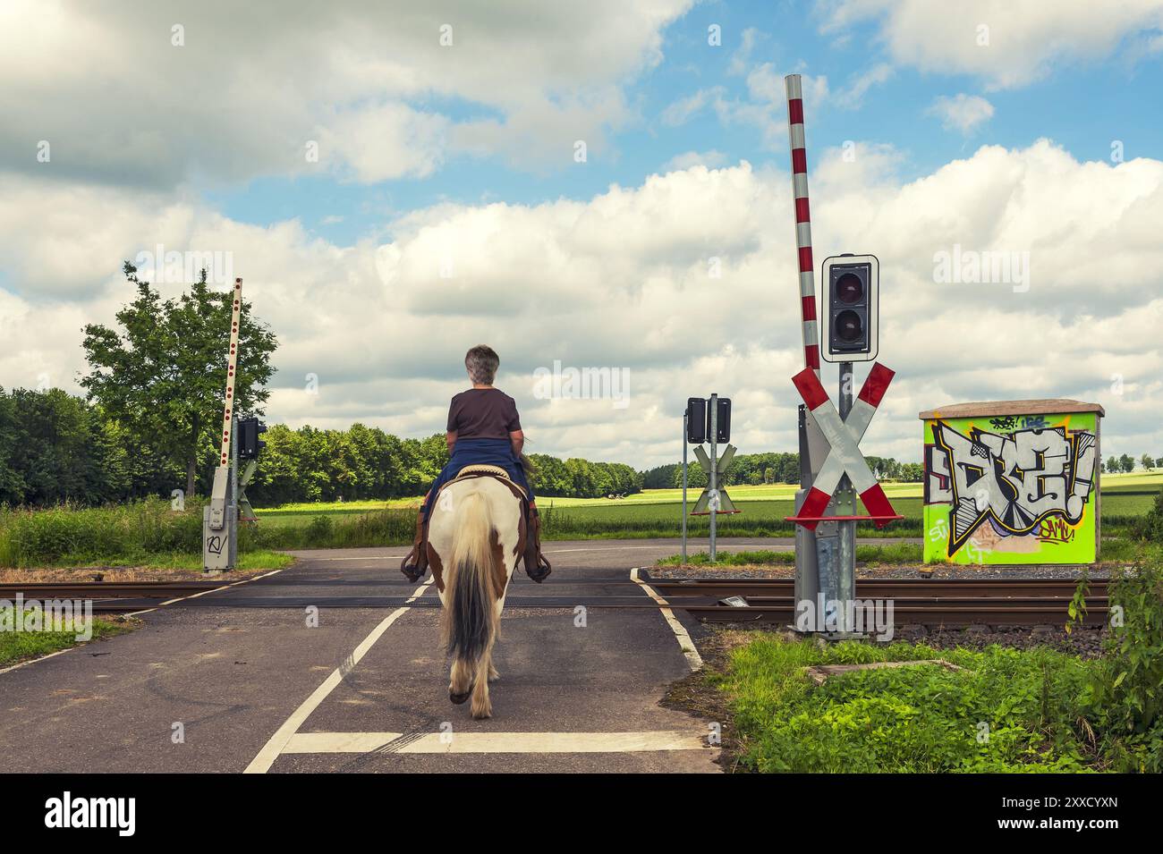 A rider crosses a railway crossing on a horse Stock Photo - Alamy