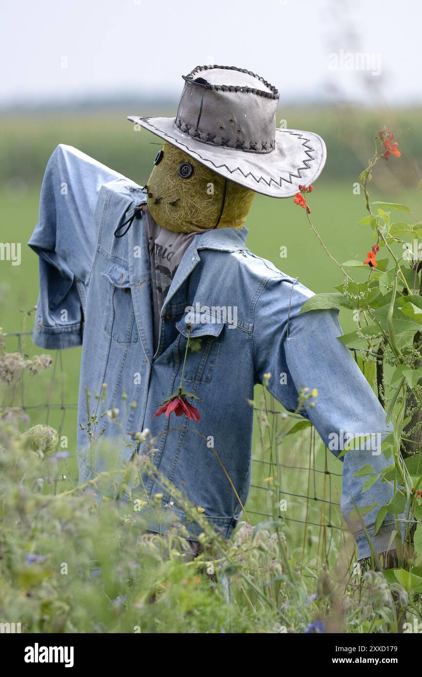 Scarecrow outdoor hi-res stock photography and images - Alamy