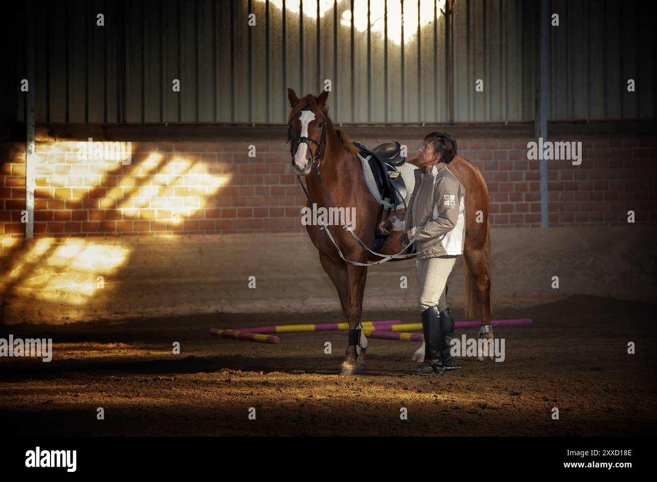 Rider with horse in an indoor riding arena Stock Photo - Alamy