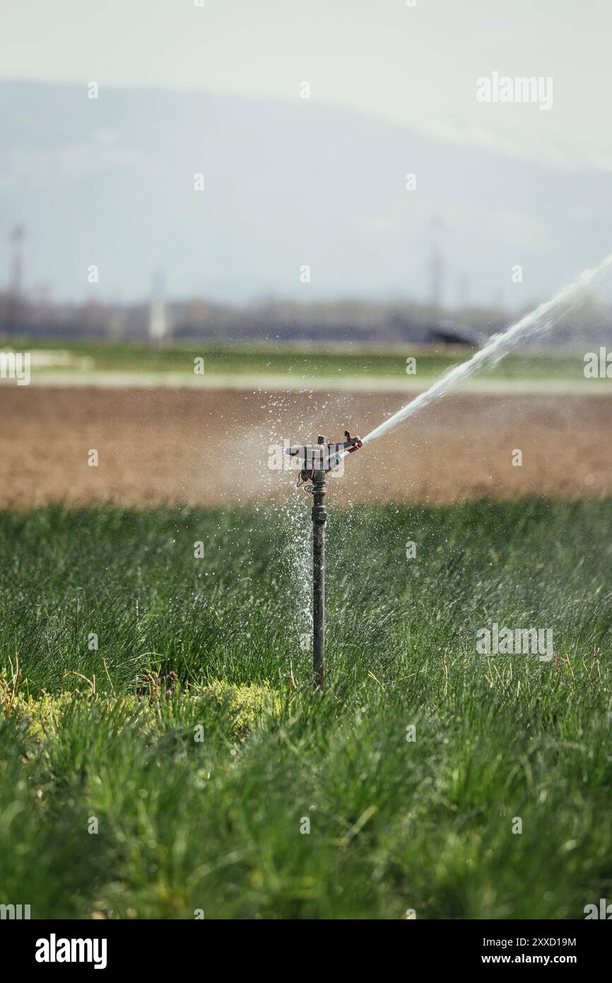 Irrigation plant on an agriculture field, summer day, soil Stock Photo - Alamy