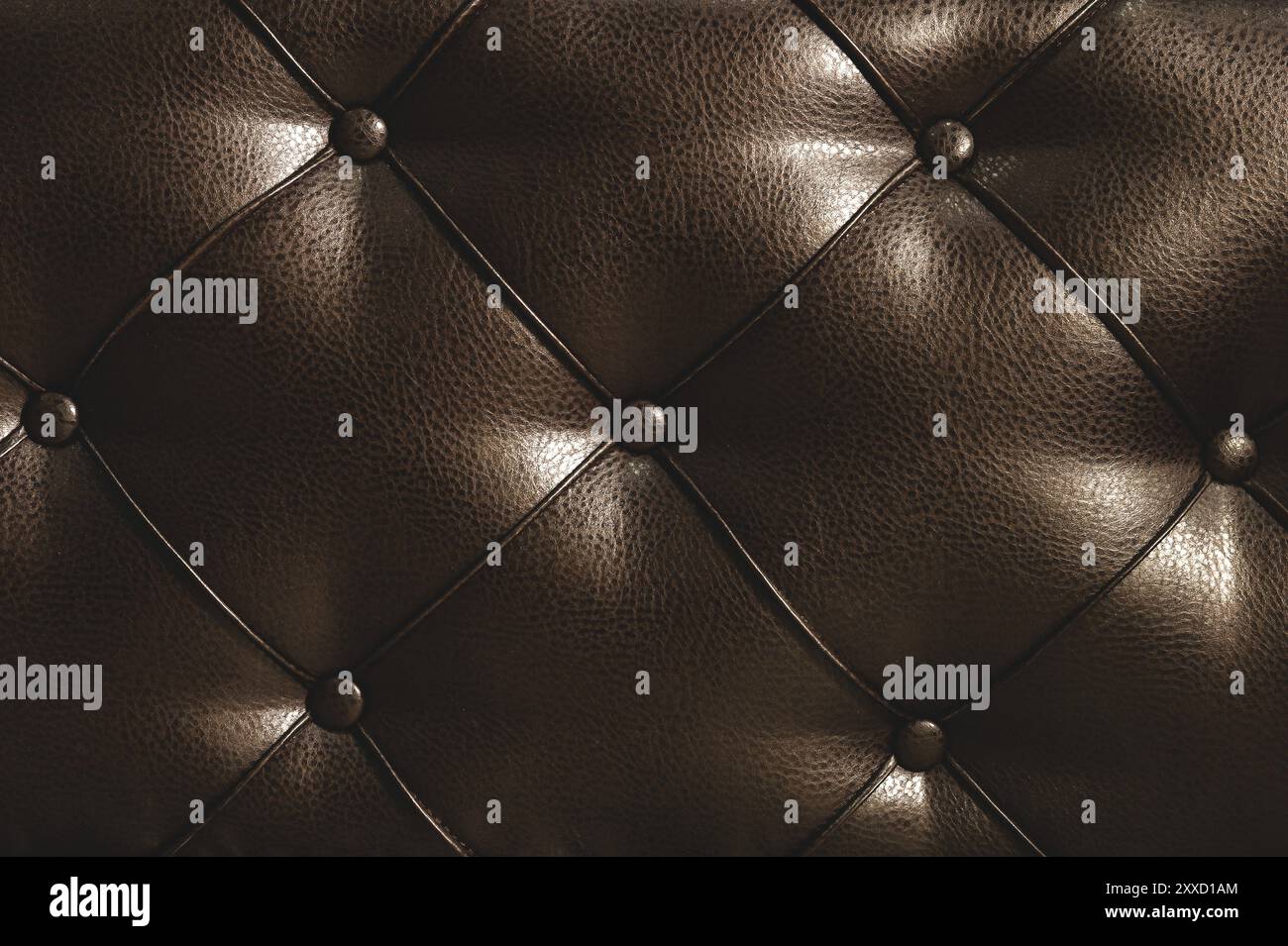 Surface of a rhombic split skin with buttons on the back of the bed ...