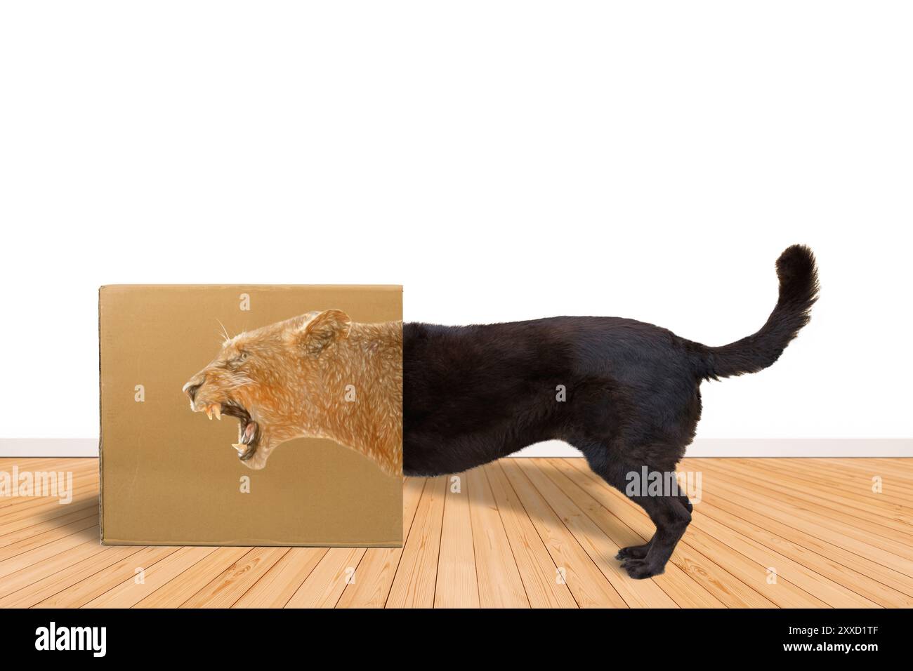 Aggressive appearance hi-res stock photography and images - Alamy