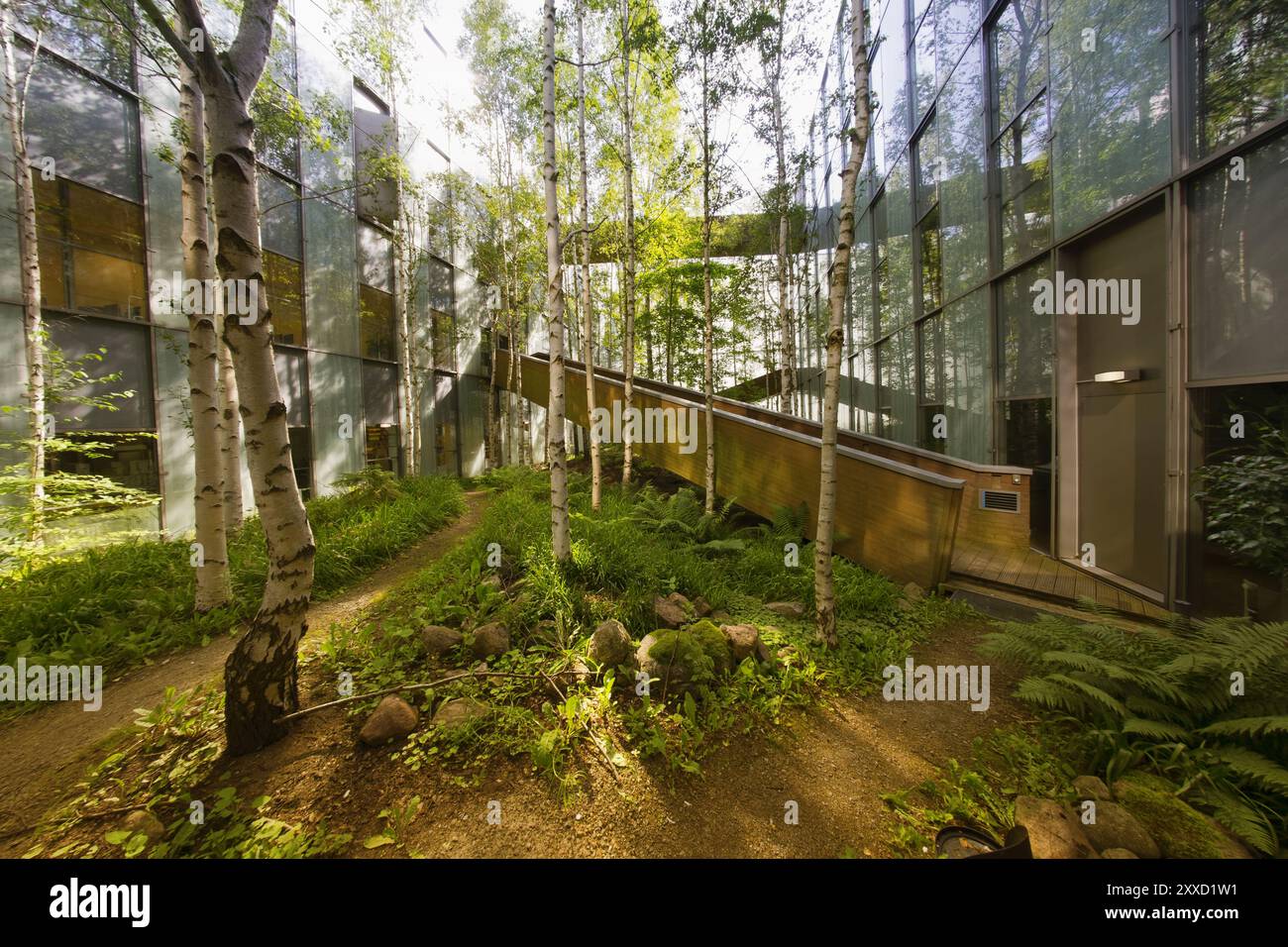 Planted courtyard in an office complex Stock Photo - Alamy