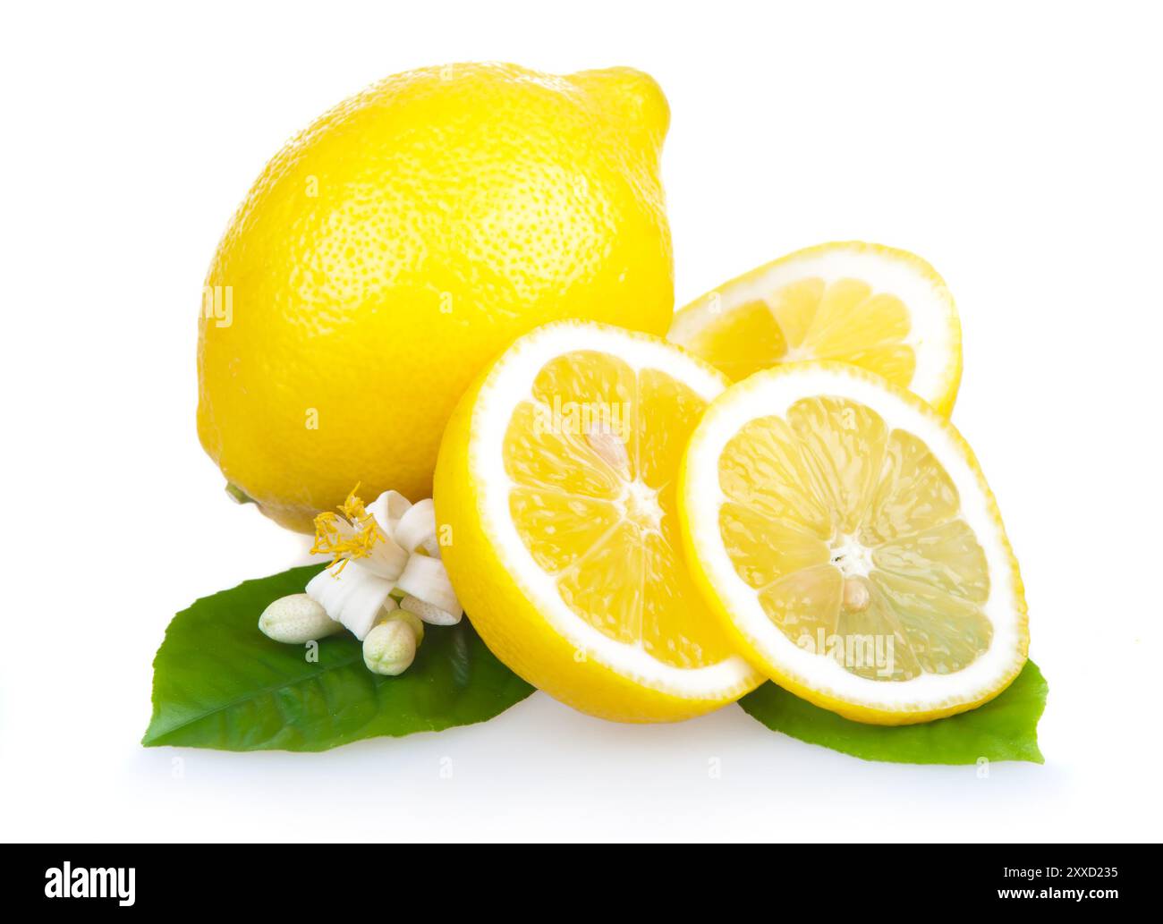 Plain ground divided hi-res stock photography and images - Alamy