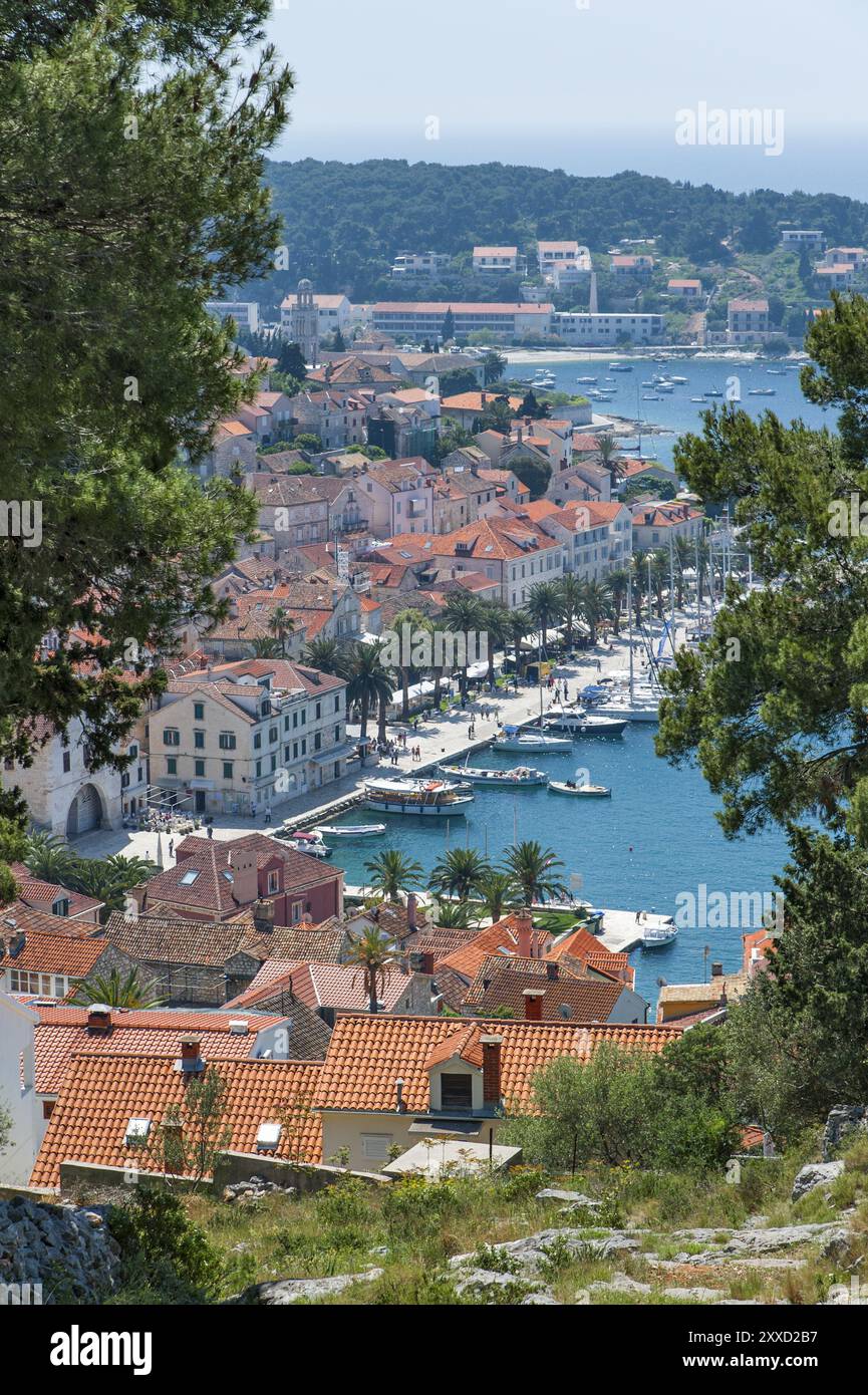 Hvar harbour on the island of Hvar Stock Photo - Alamy