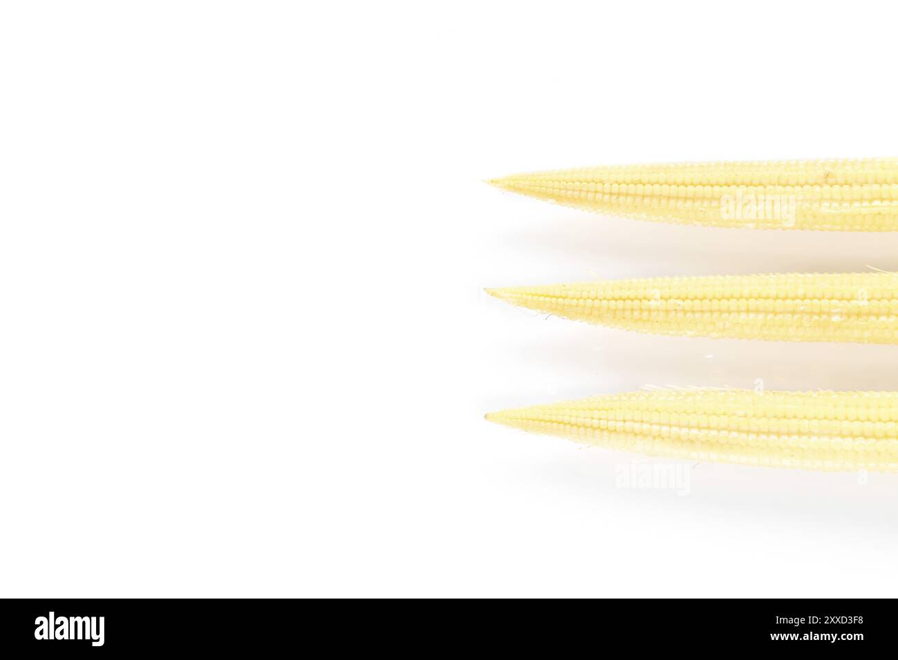 Close up young baby corn hi-res stock photography and images - Alamy