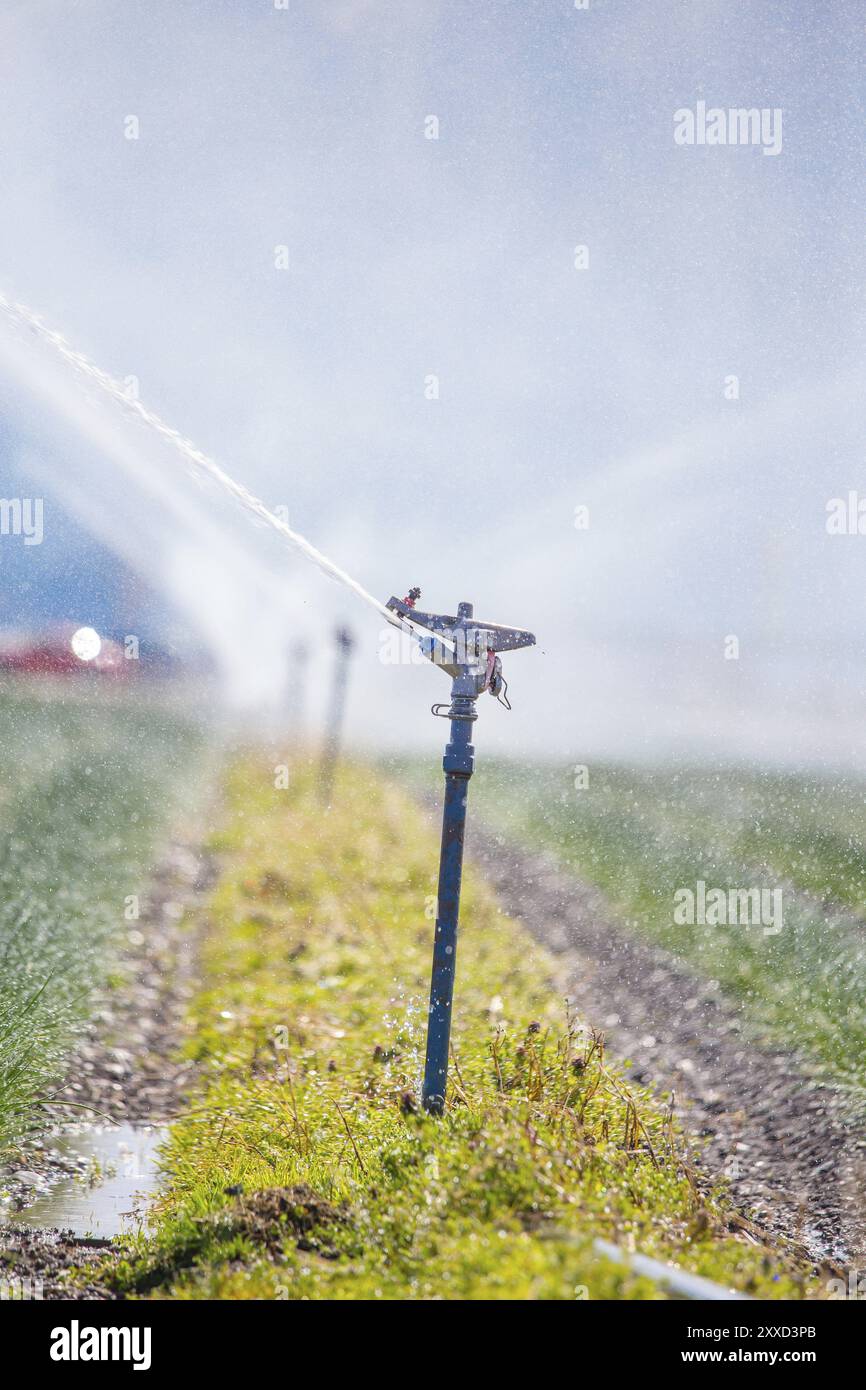 Irrigation plant on an agriculture field, summer day, soil Stock Photo ...