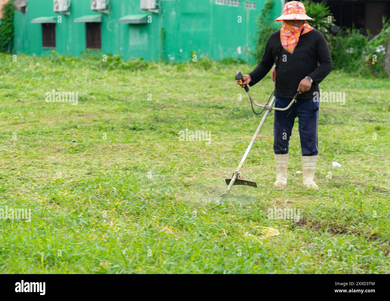 Male worker with petrol lawn mower trimmer with motor cutting grass on ...
