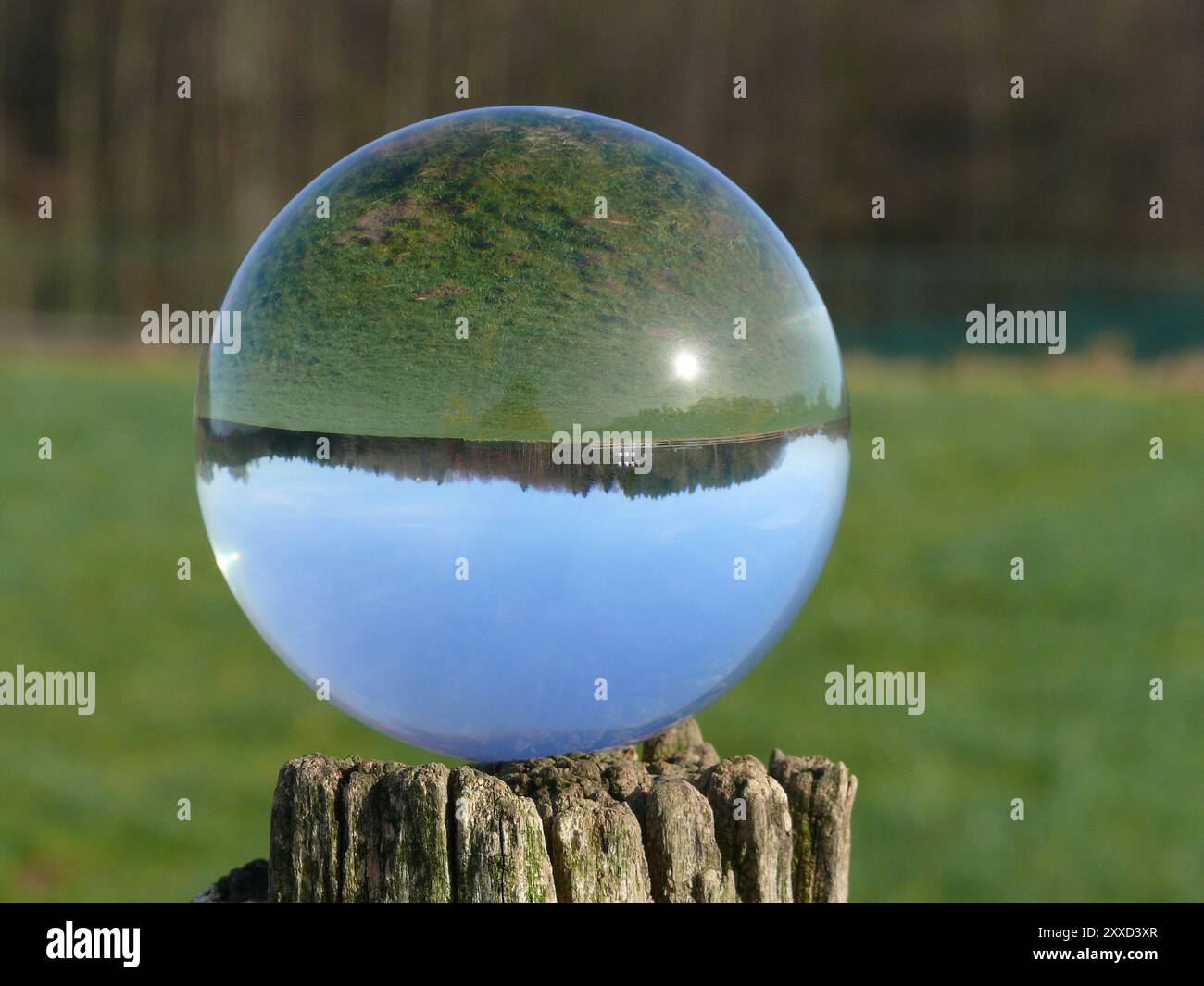 Glass ball forest hi-res stock photography and images - Alamy