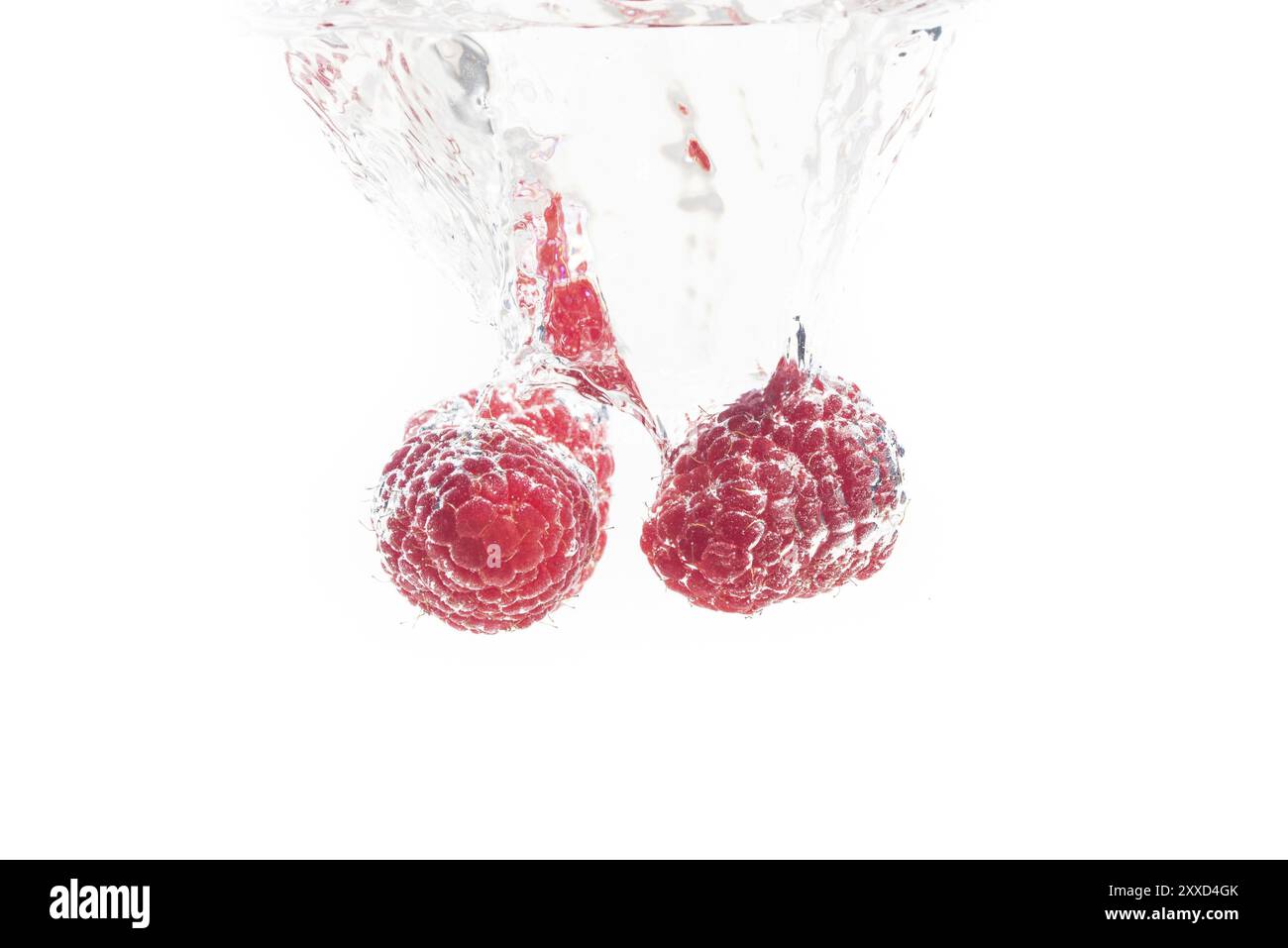 Two juicy, delicious looking raspberries splashing into water surface ...