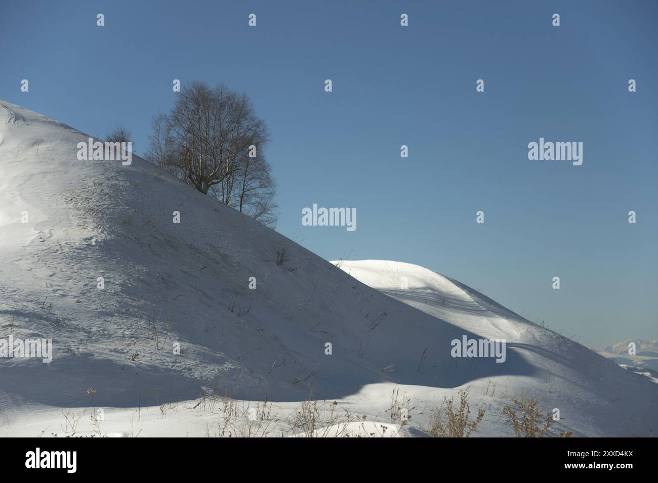 Shady side hill hi-res stock photography and images - Alamy