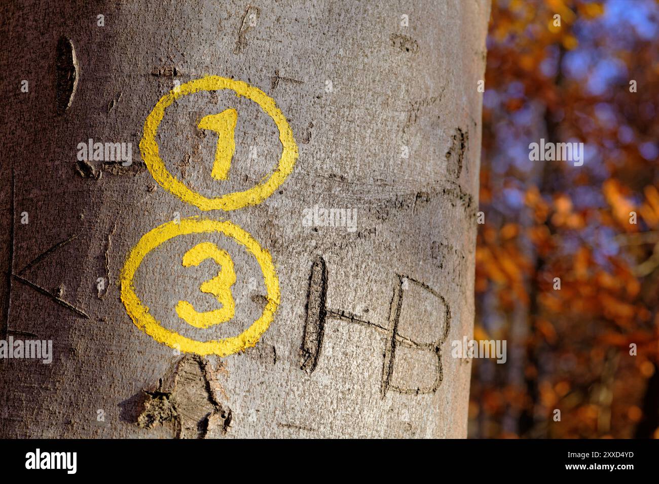 Hiking trail markings Stock Photo - Alamy