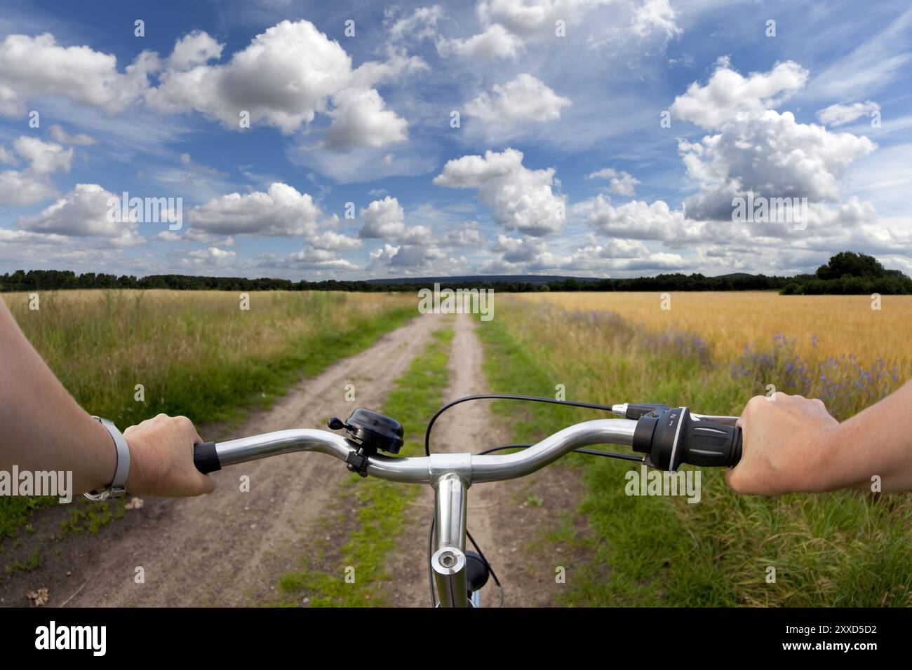 Two track road through hi-res stock photography and images - Alamy