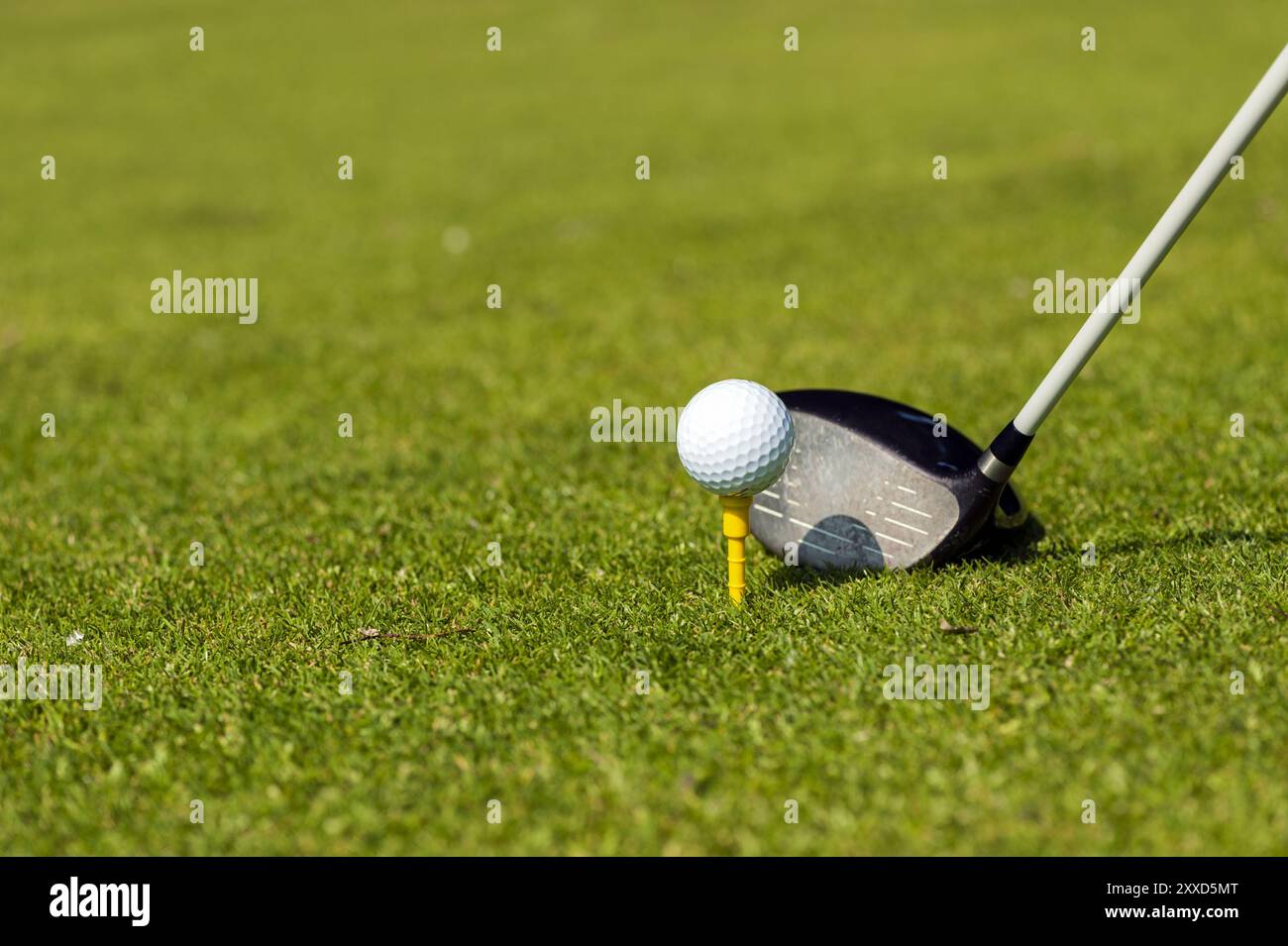 Golf club with golf ball Stock Photo - Alamy