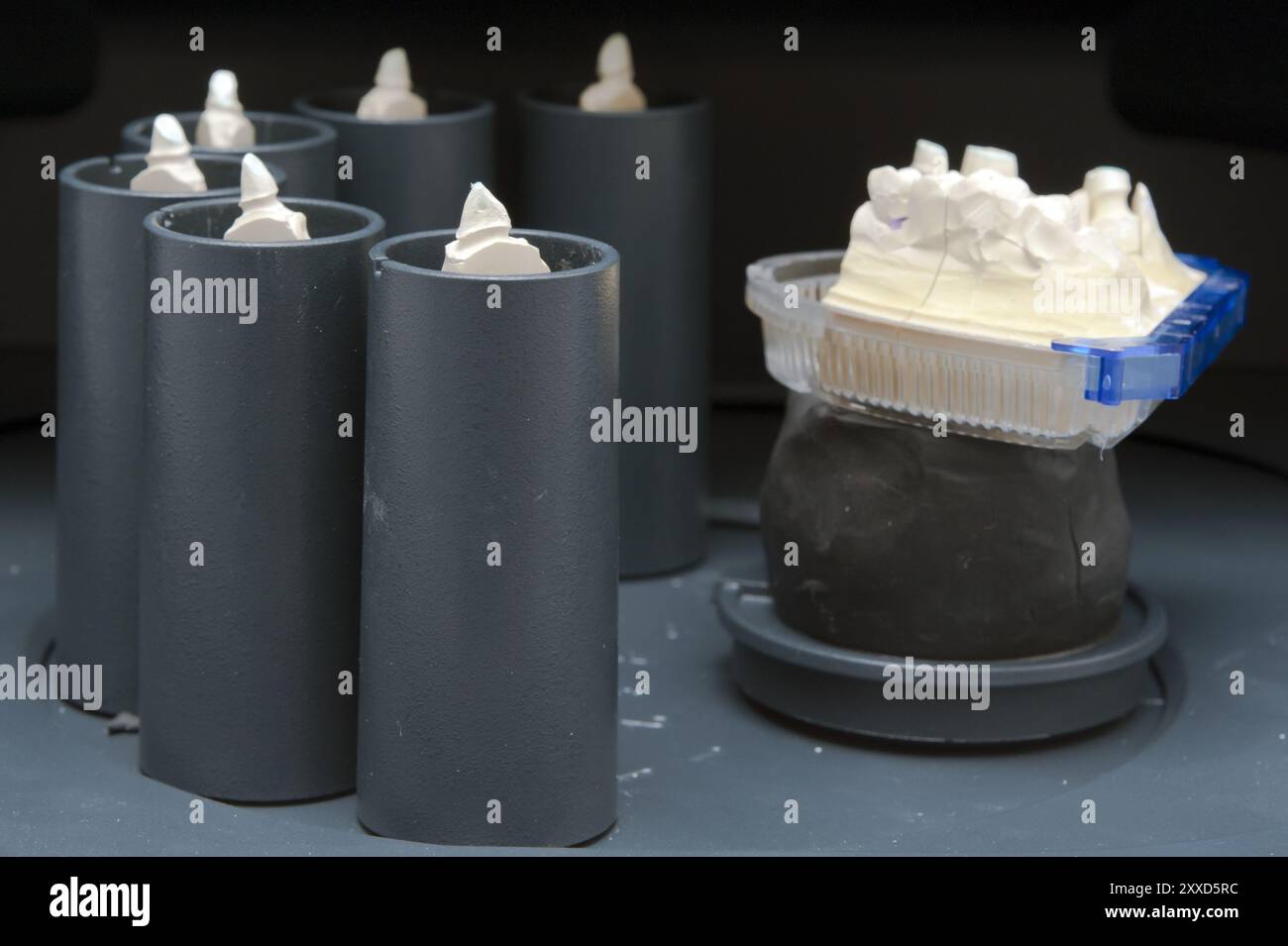Individual parts of the upper jaw model in the scanner Stock Photo - Alamy
