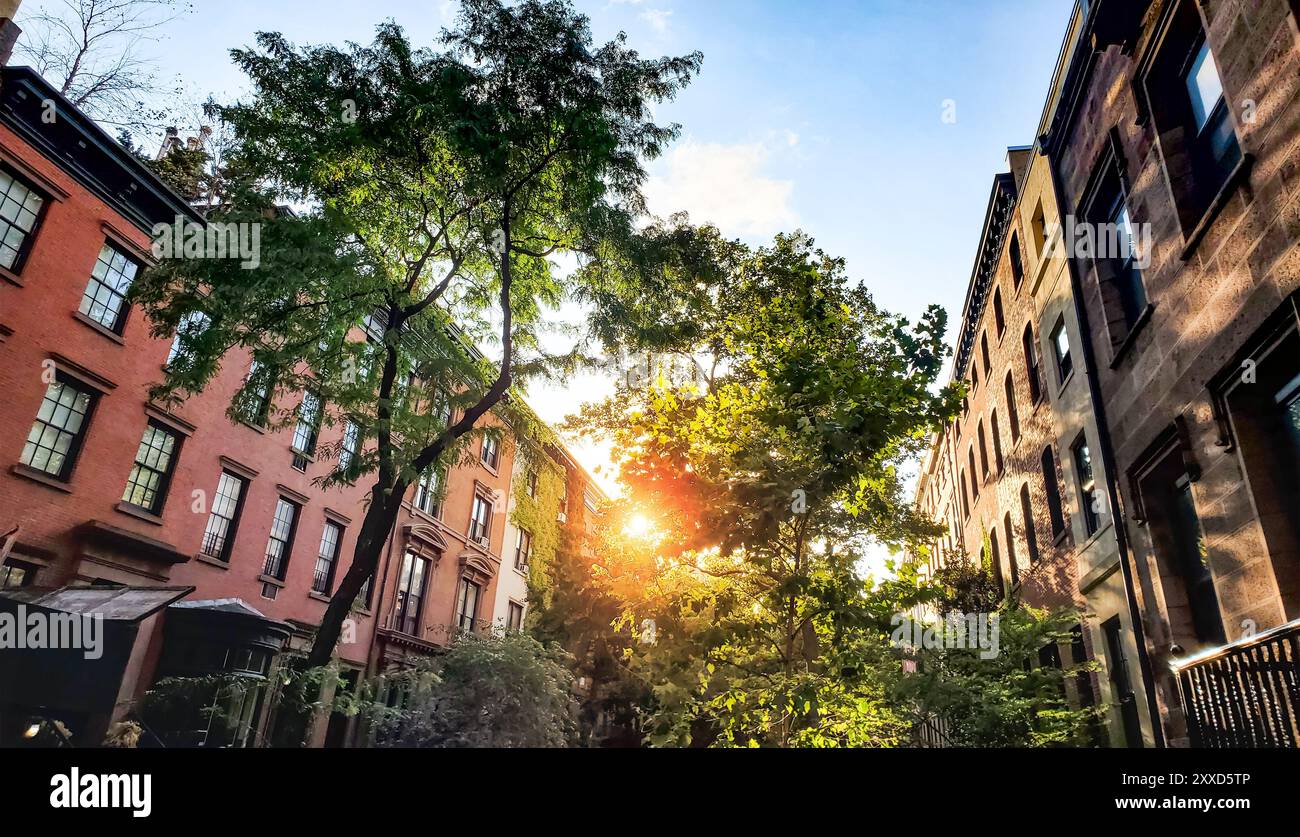 Tree lined block of historic apartment buildings on 10th Street in the ...