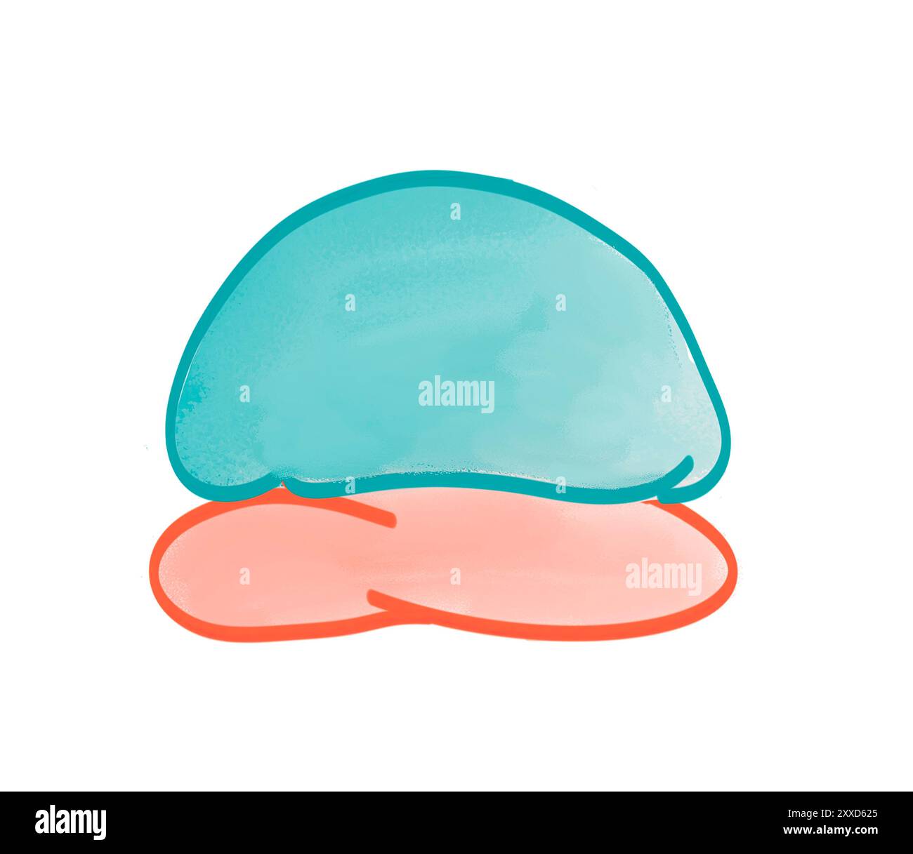 Structure Ribosome Infographics Vector Illustration Stock The