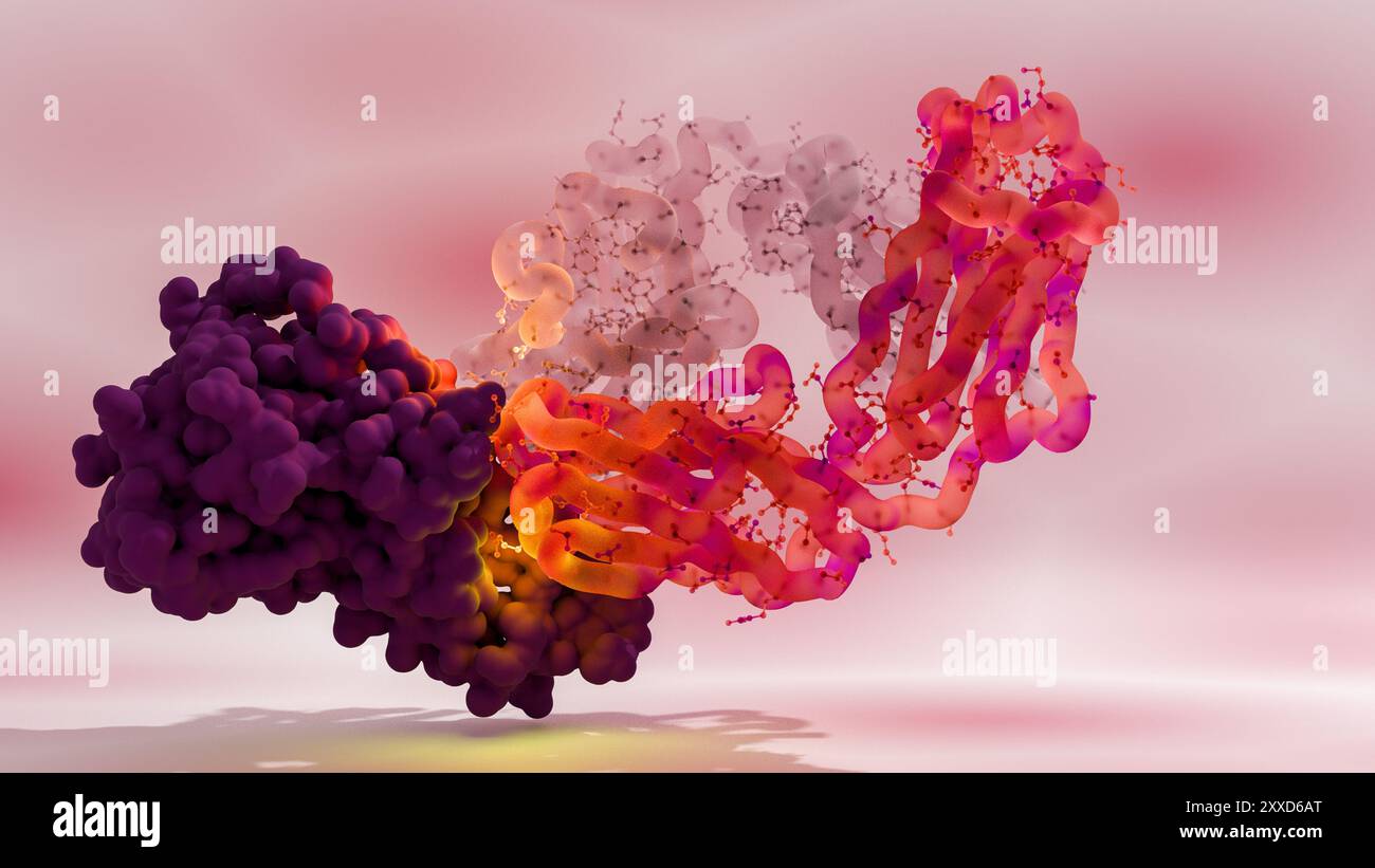 Illustration of adalimumab (marketed under the name Humira), a ...