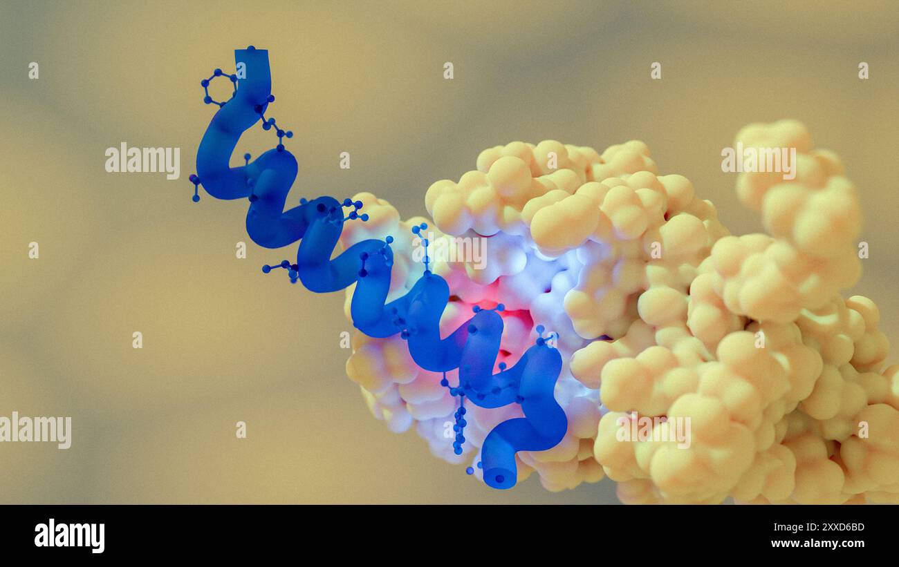 Illustration of a semaglutide peptide (blue) bound to its target ...