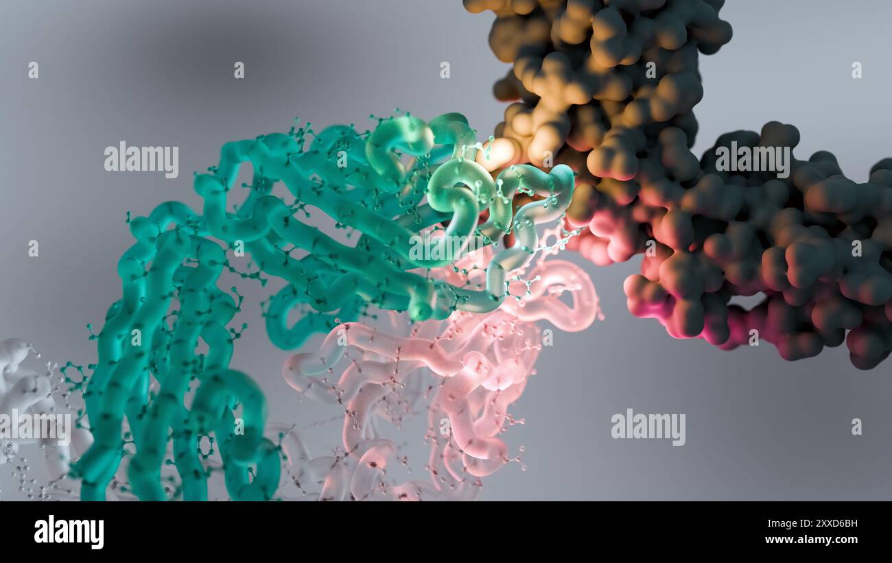 Illustration of dupilumab (marketed under the name Dupixent), a ...