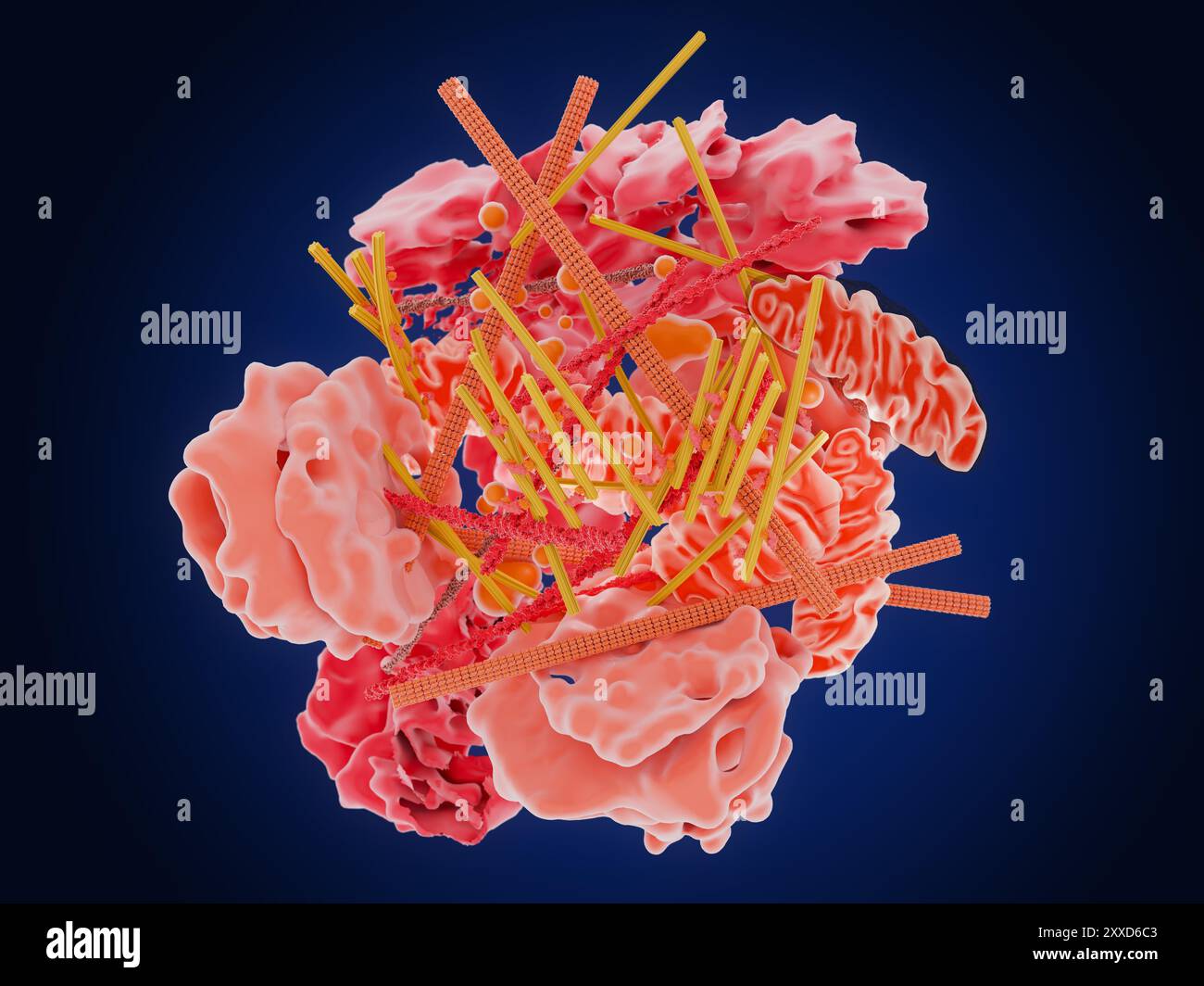 Molecular structure of a Lewy body, an abnormal aggregation of proteins ...