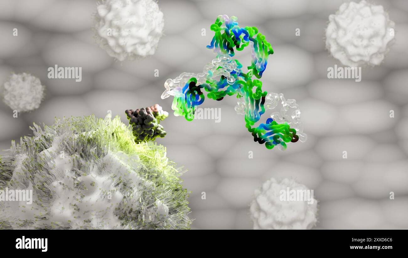 Illustration of pembrolizumab (marketed under the name Keytruda), a ...