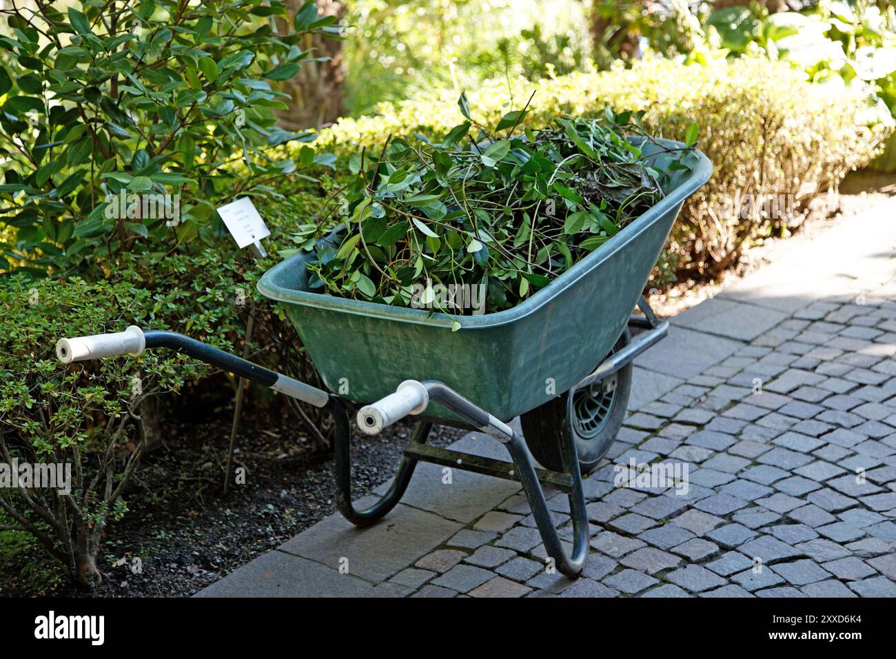 Tree hedge pruning waste hi-res stock photography and images - Alamy