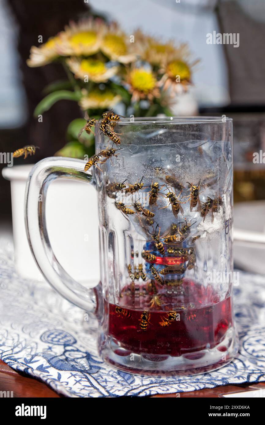 Beer trap hi-res stock photography and images - Alamy