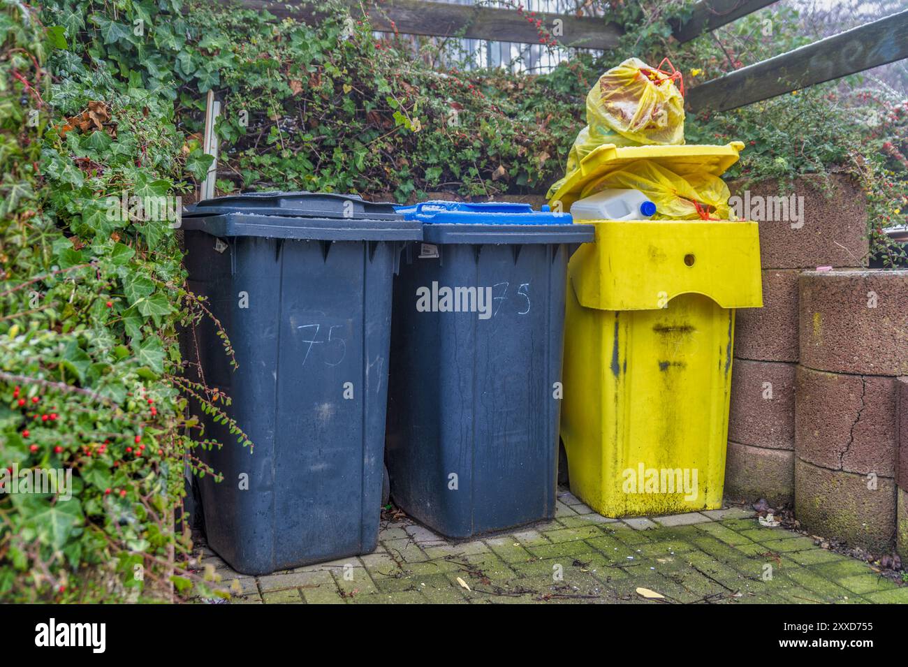 Grey, blue and yellow bins for residual waste, paper and packaging ...