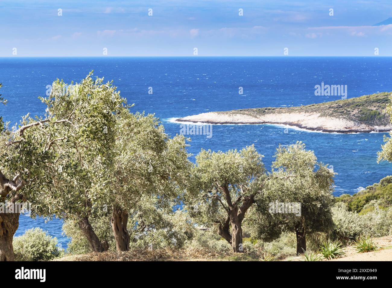 Summer vacation background with greek island Thasos, olive trees and ...
