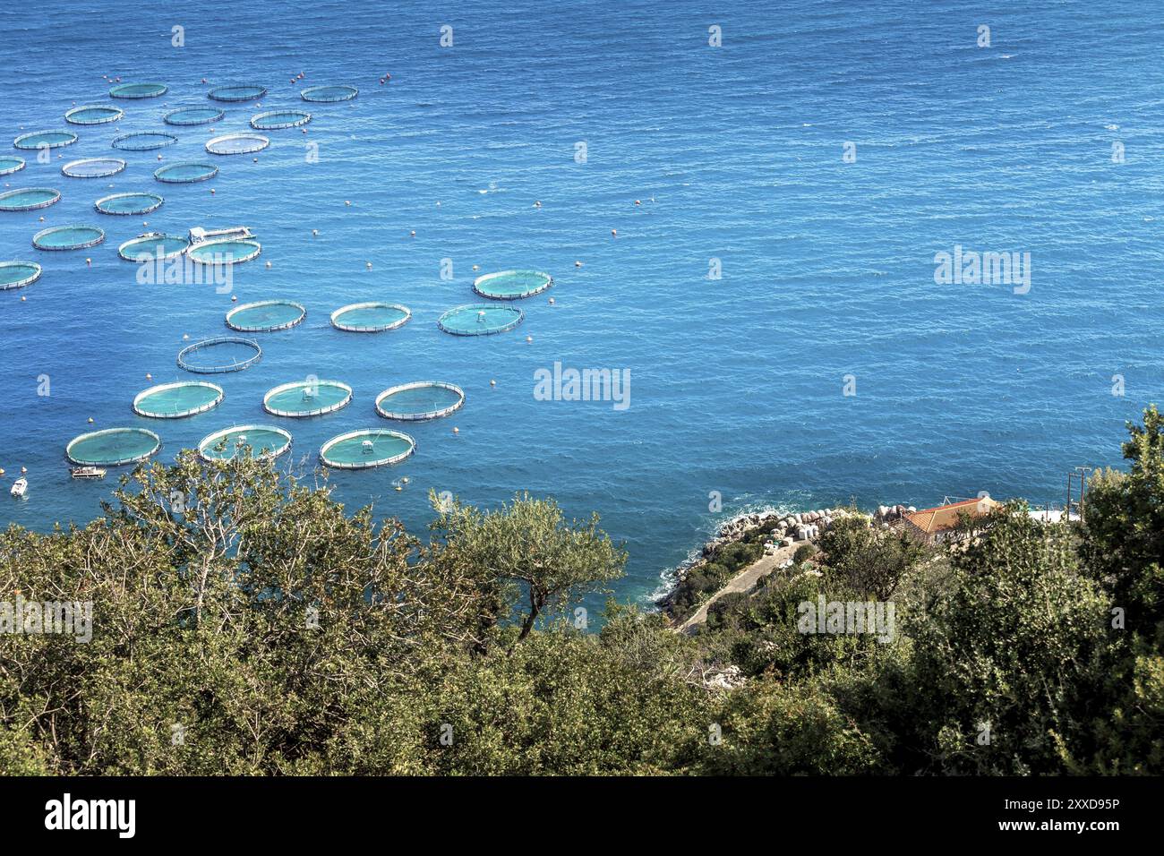 Fish sea farm with floating circle cages and coastline in Greece ...
