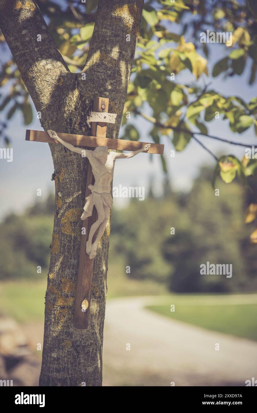 Jesus christ on tree hi-res stock photography and images - Alamy