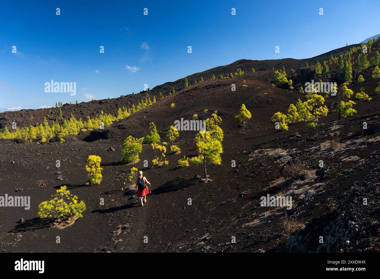 Hiking in the Montanas Negras at Garachico Volcano, Parque Natural de ...