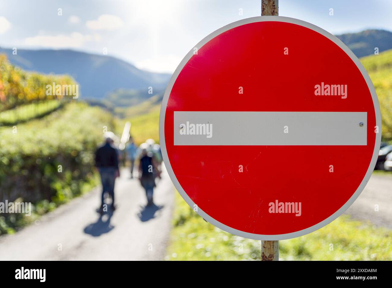 No entry sign in the vineyards of the Ahr valley. Maischoss, Rhineland ...