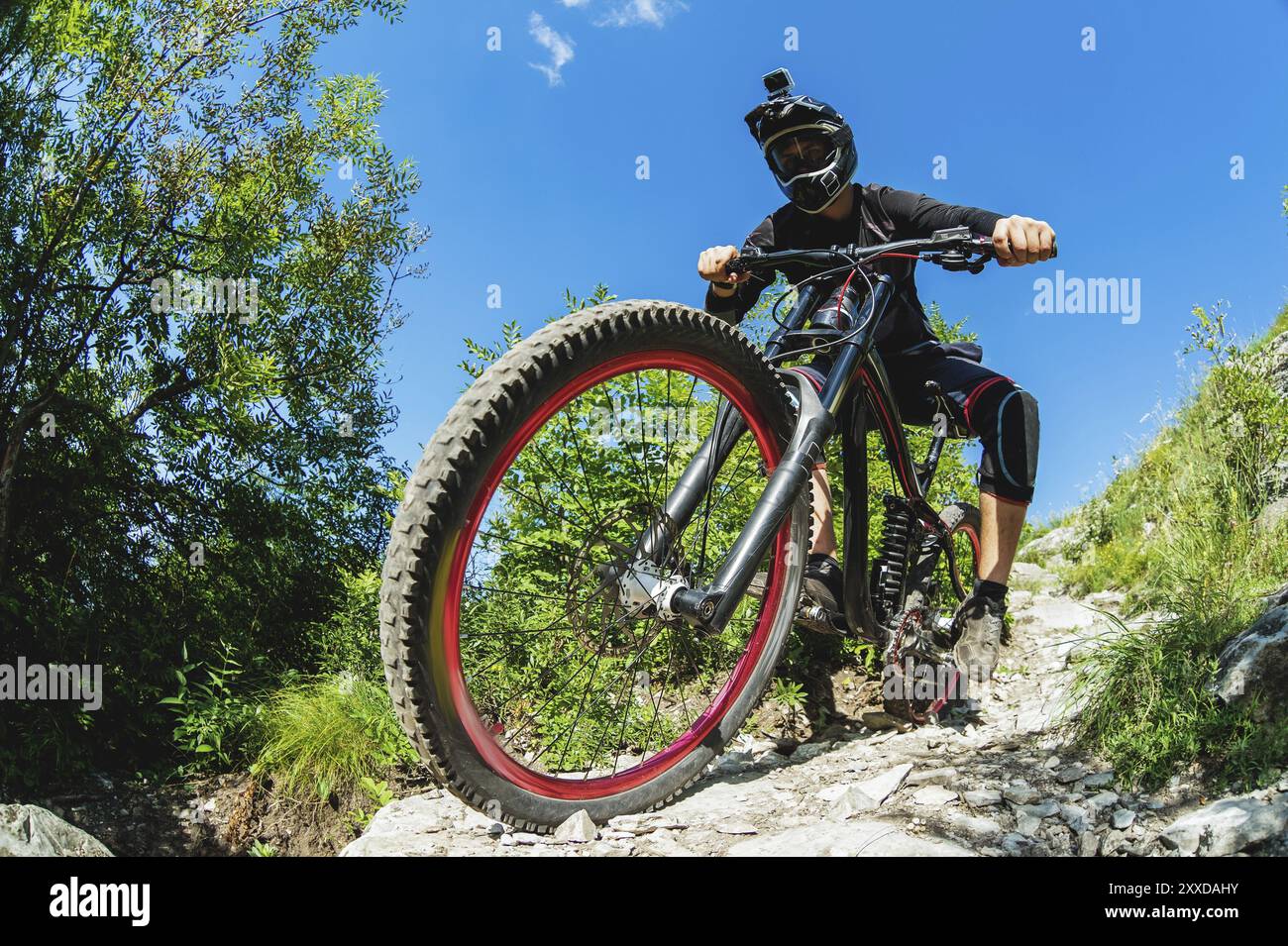 A young rider on a bicycle for downhill descends the rocks in the ...