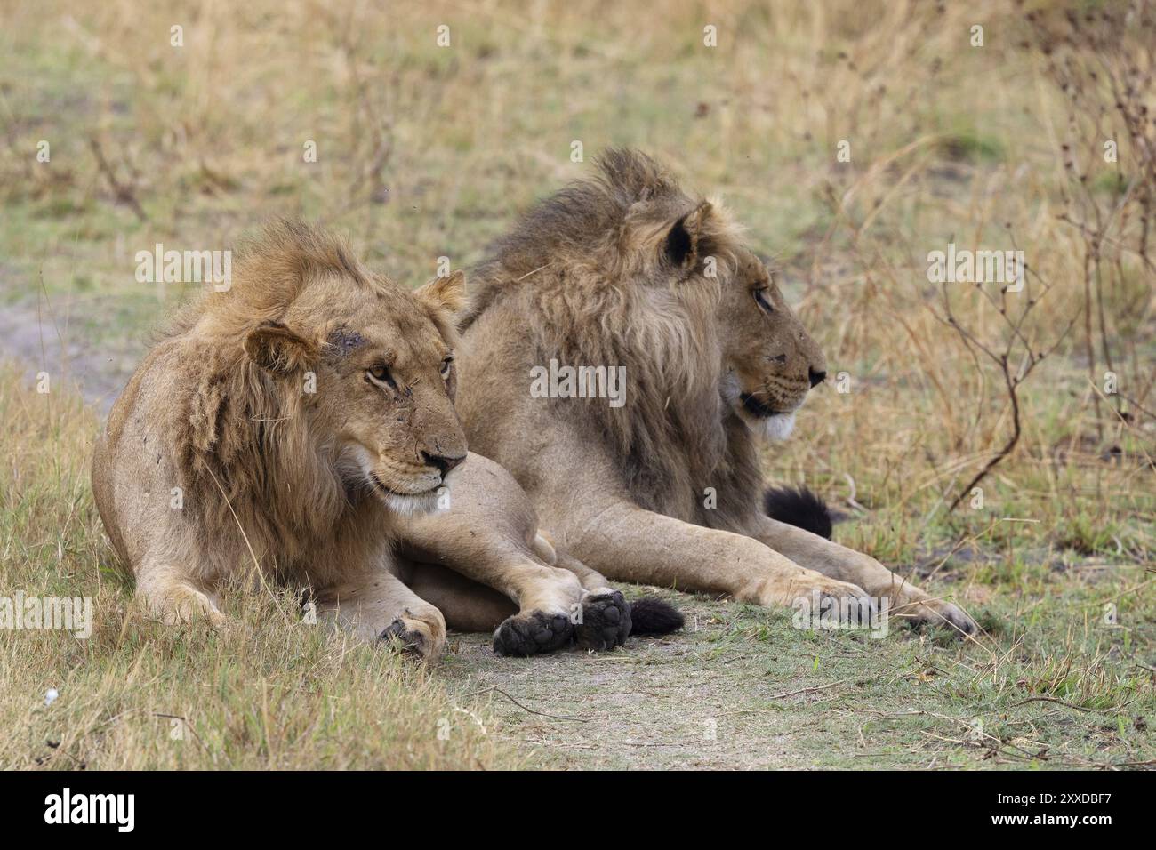 The other side of africa hi-res stock photography and images - Alamy